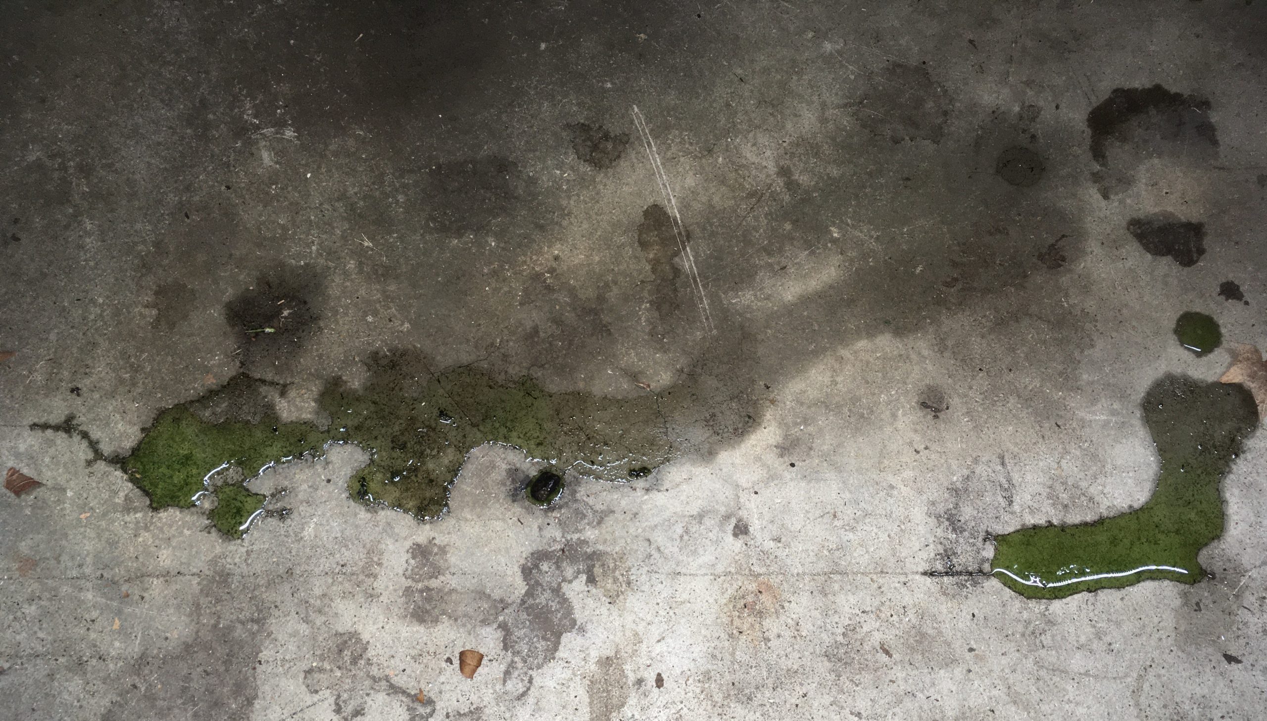 11 checks to make before your classic's first spring drive - Hagerty Media