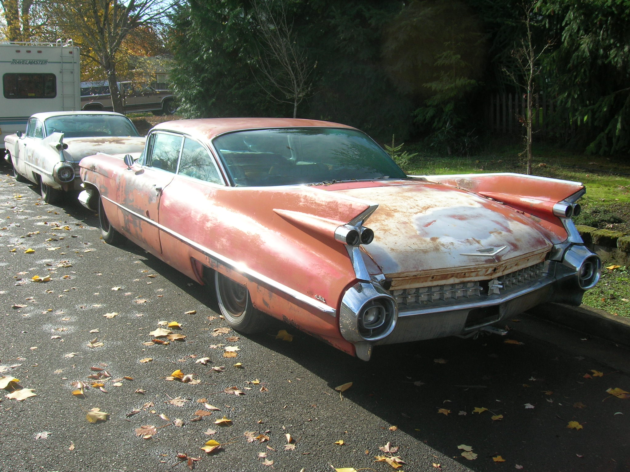 Out in Oregon, this die-hard Cadillac fanatic lives among his herd ...