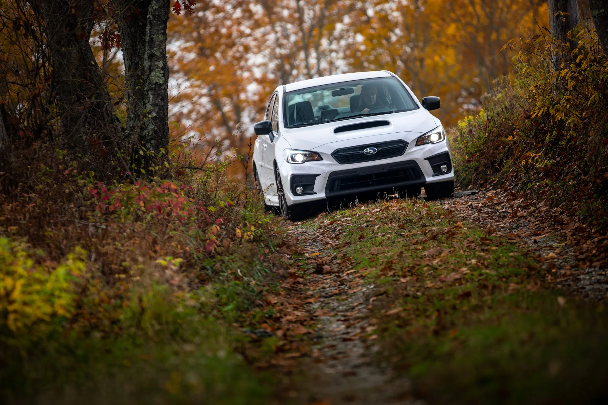 Review: 2020 Subaru WRX Series.White - Hagerty Media