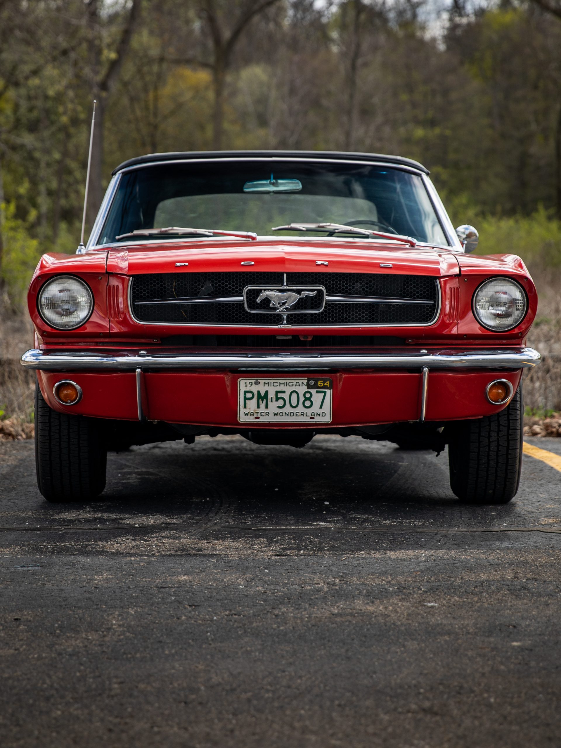 Michigan's Global Mustang Day rally captured the colorful scope of ...