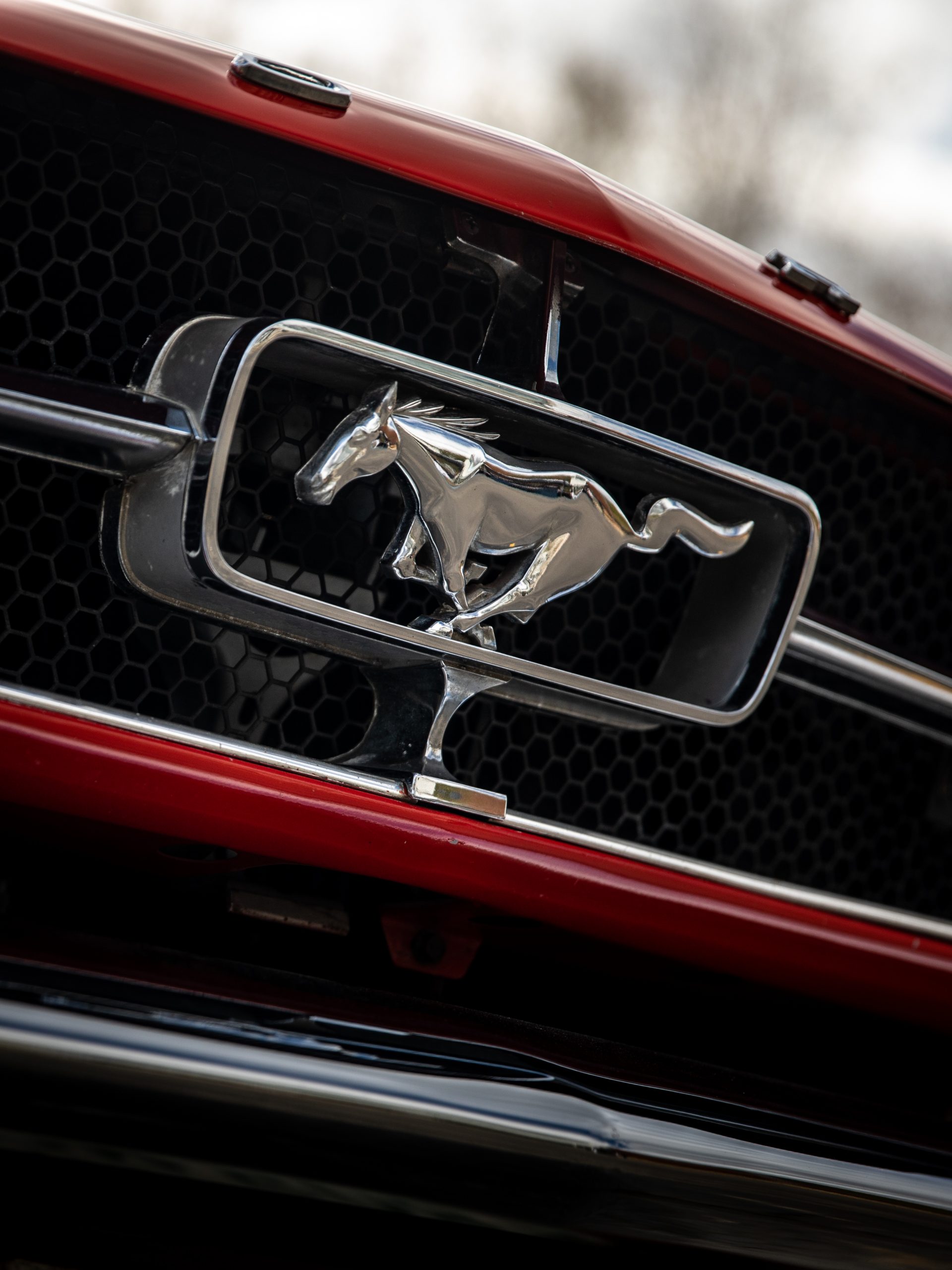 Michigan's Global Mustang Day rally captured the colorful scope of ...