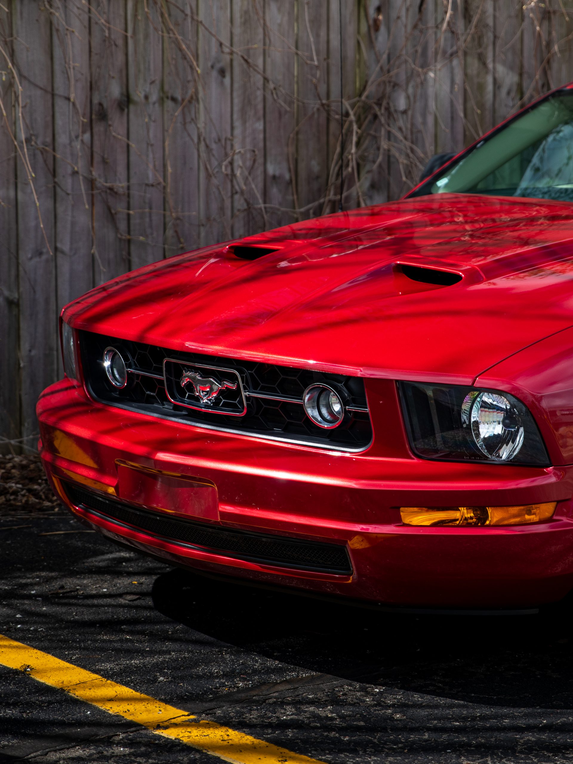 Michigan's Global Mustang Day rally captured the colorful scope of ...
