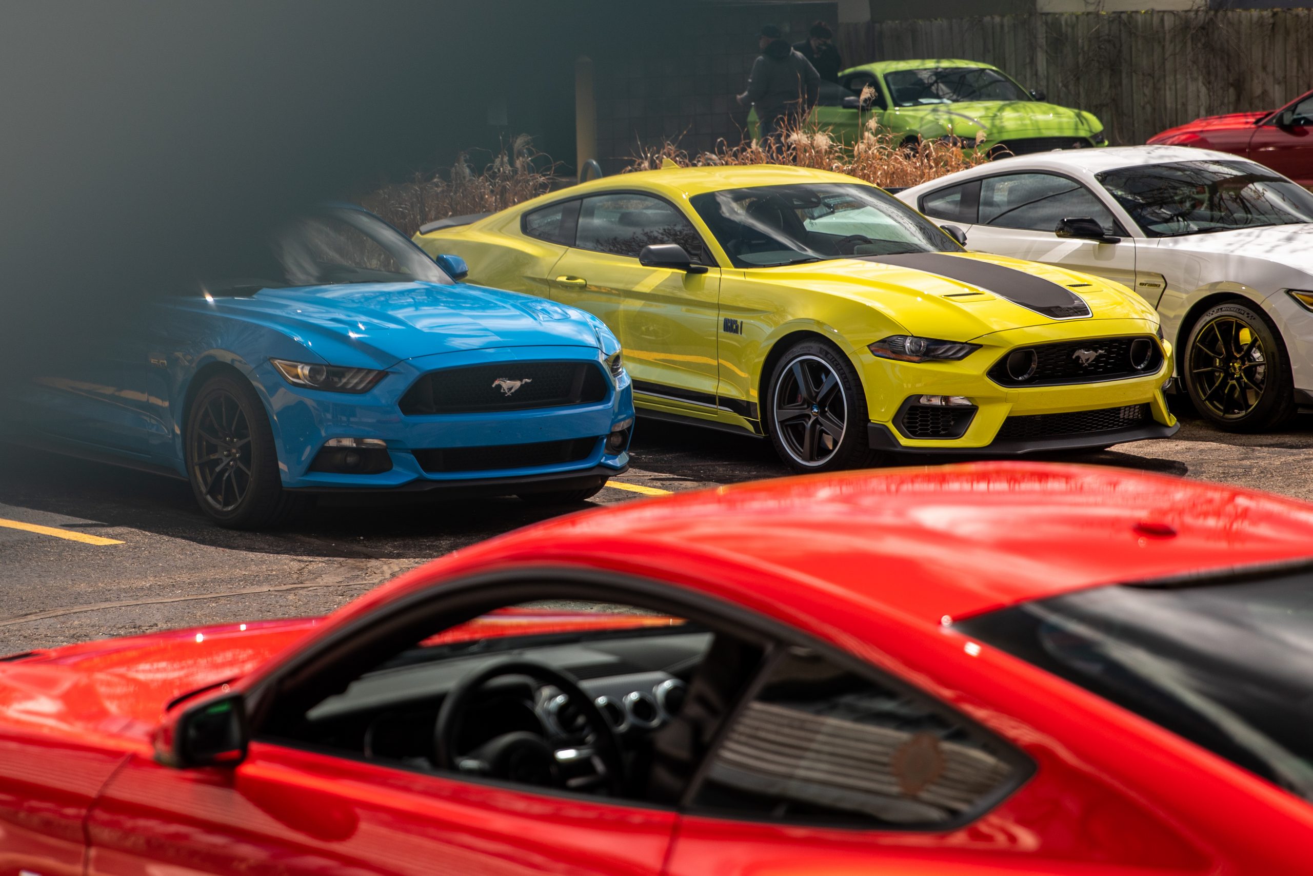 Michigan's Global Mustang Day rally captured the colorful scope of ...