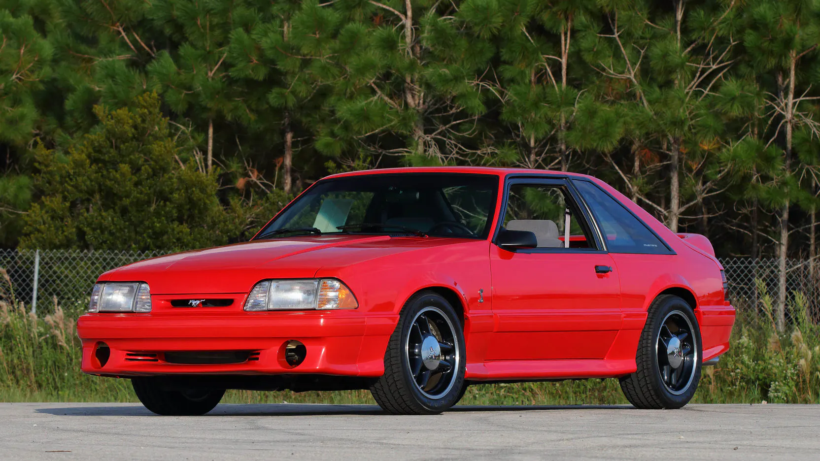 The 2000 Ford Mustang SVT Cobra R Was the Best Automotive Apology in ...