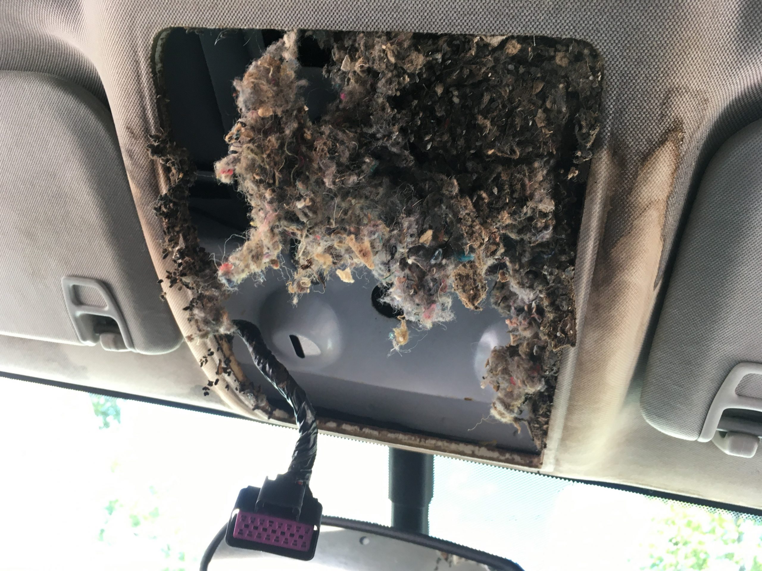 Our Two Cents: Least Favorite Automotive Smells - Hagerty Media
