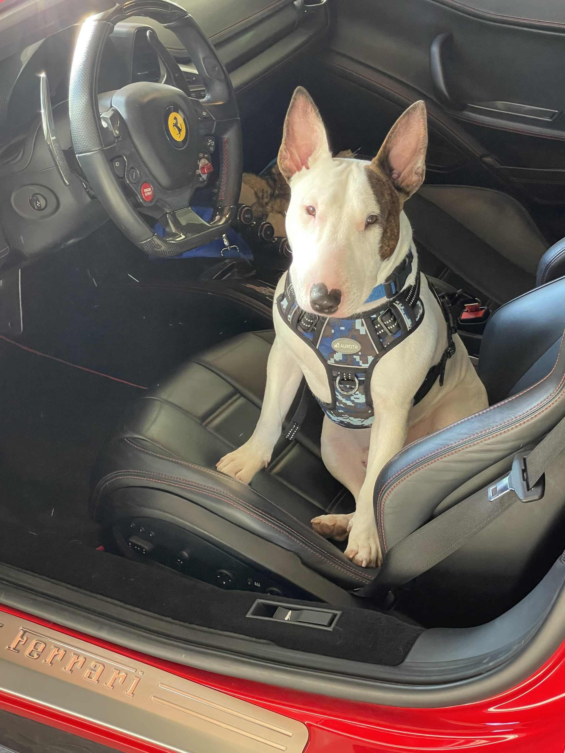 My decision to buy a Ferrari 458 worked out pretty well, except for the ...