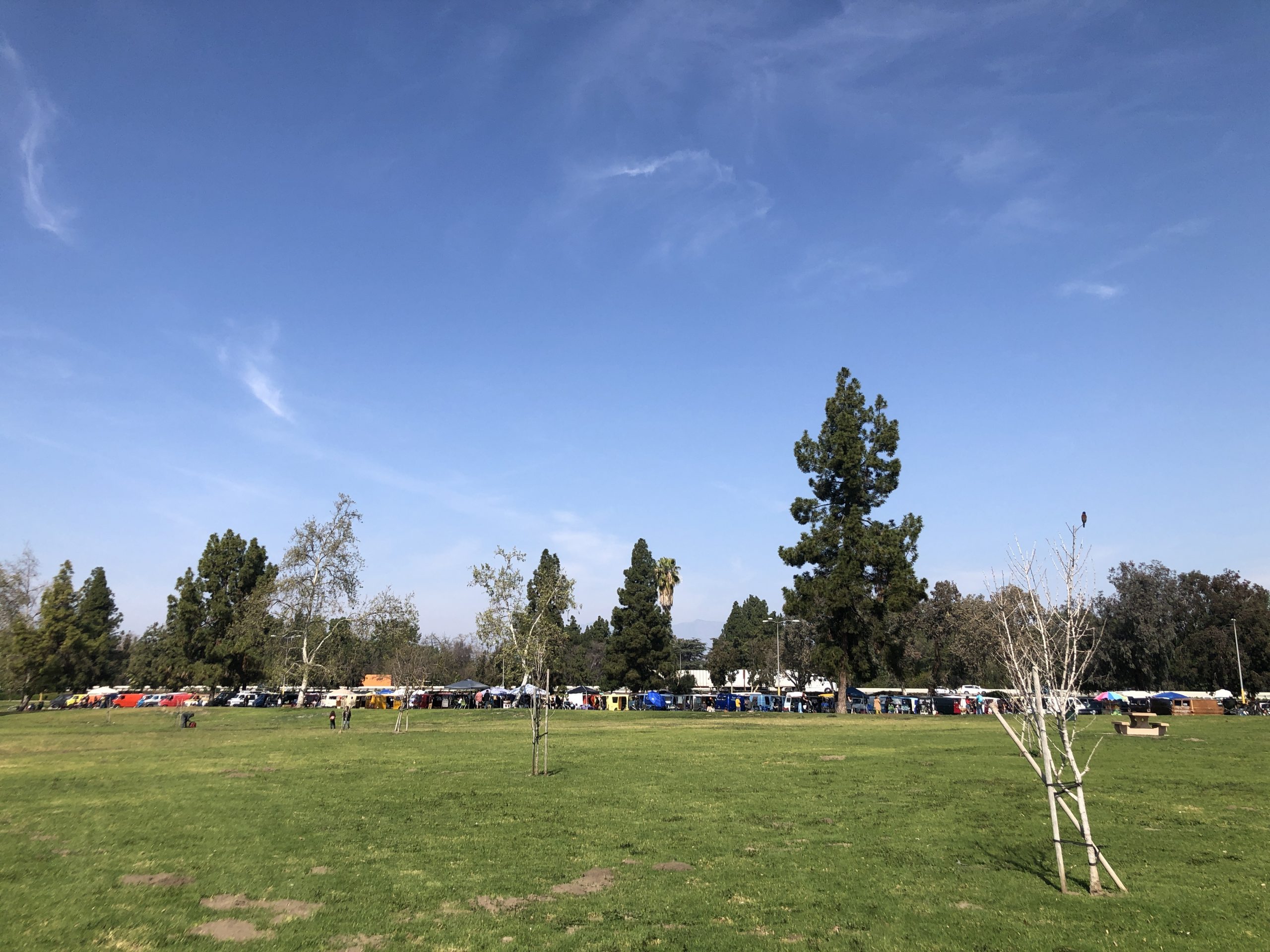 National Boogie Van Day 2022: Becoming a Vanning tradition - Hagerty Media