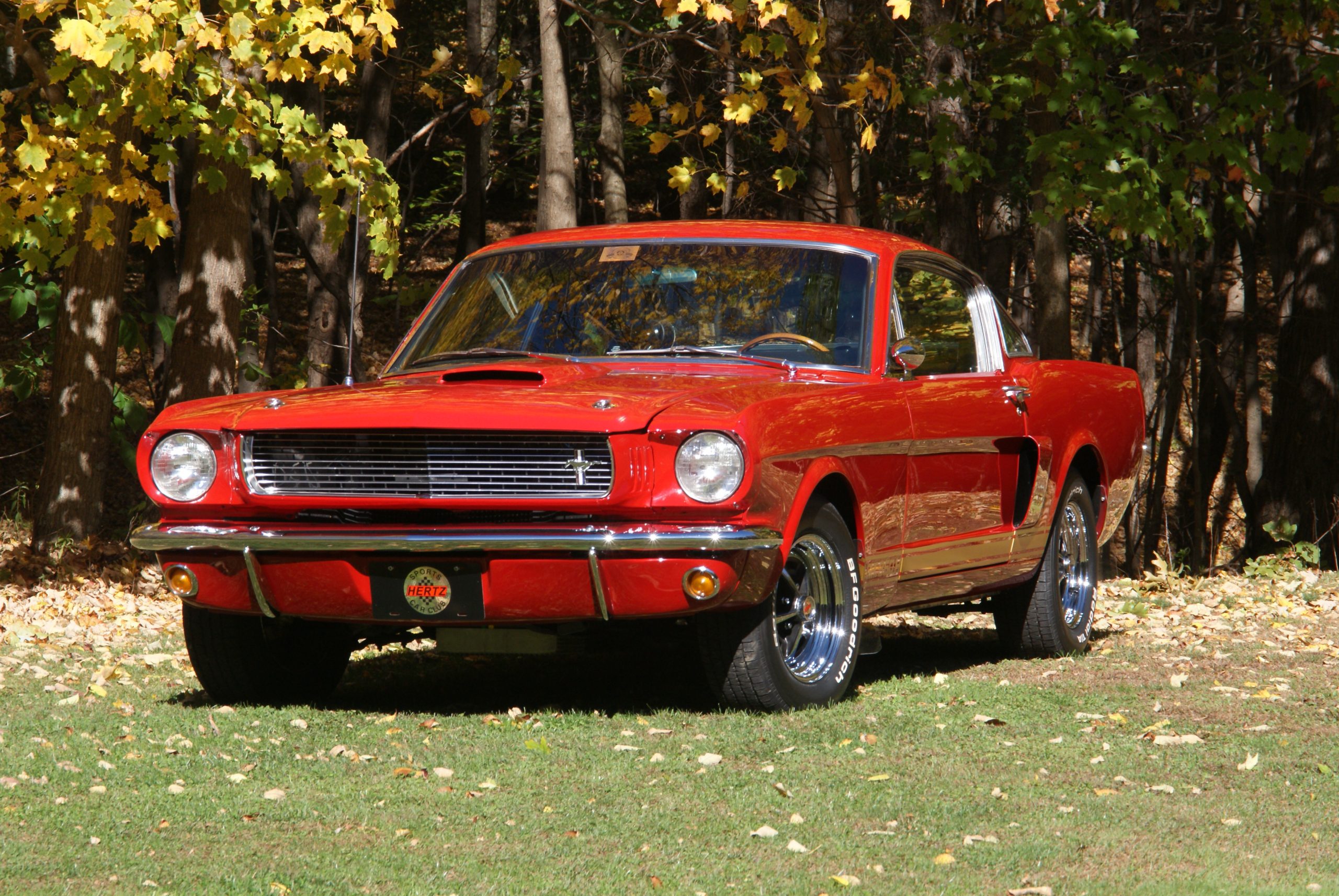 Legends of the GT350H: Fact, fiction, and Hertz’s “Rent-A-Racer ...