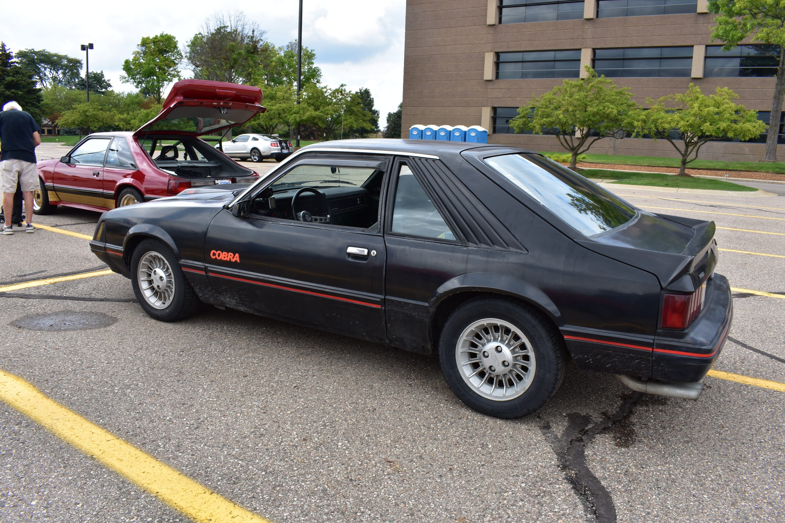 Tale of Two Survivors: The sixth-built Shelby GT350 and a ’79 Mustang ...