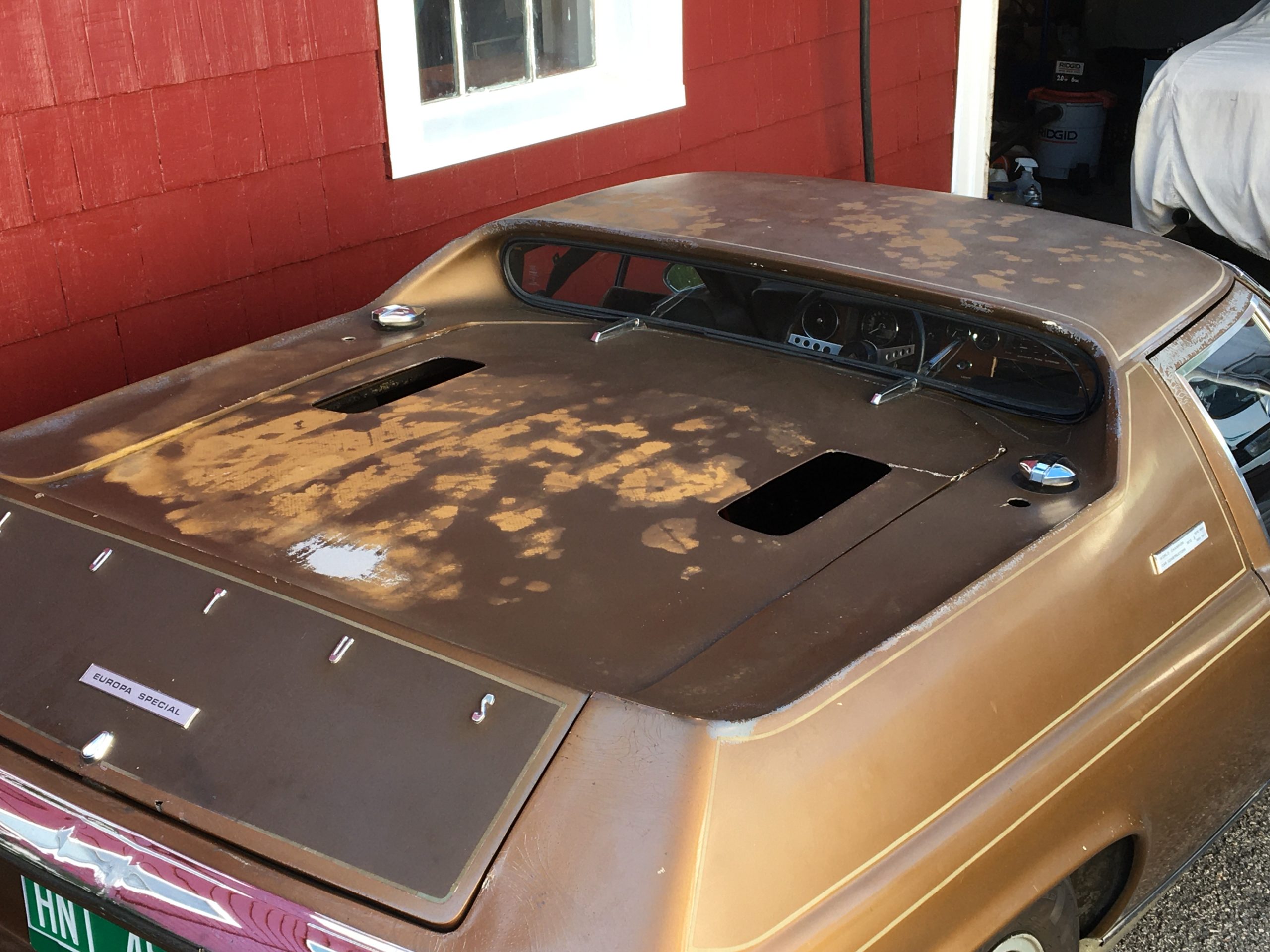 How covering my Lotus in the heat and rain ruined its paint - Hagerty Media