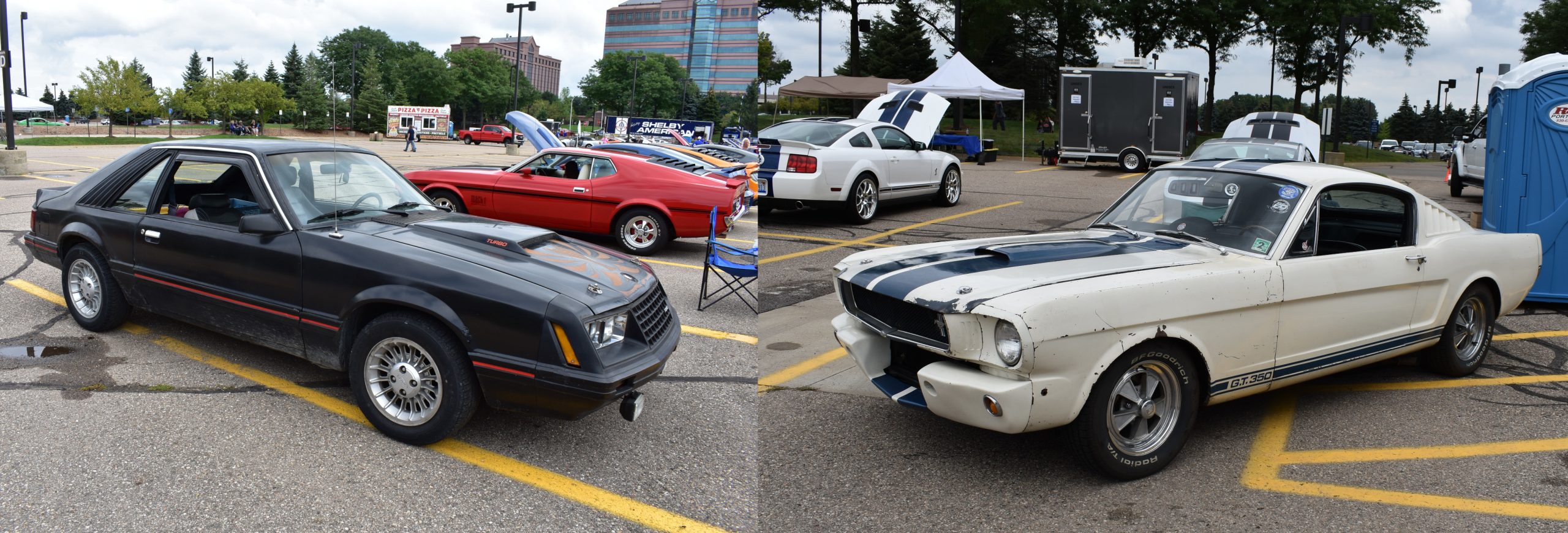 Tale of Two Survivors: The sixth-built Shelby GT350 and a ’79 Mustang ...