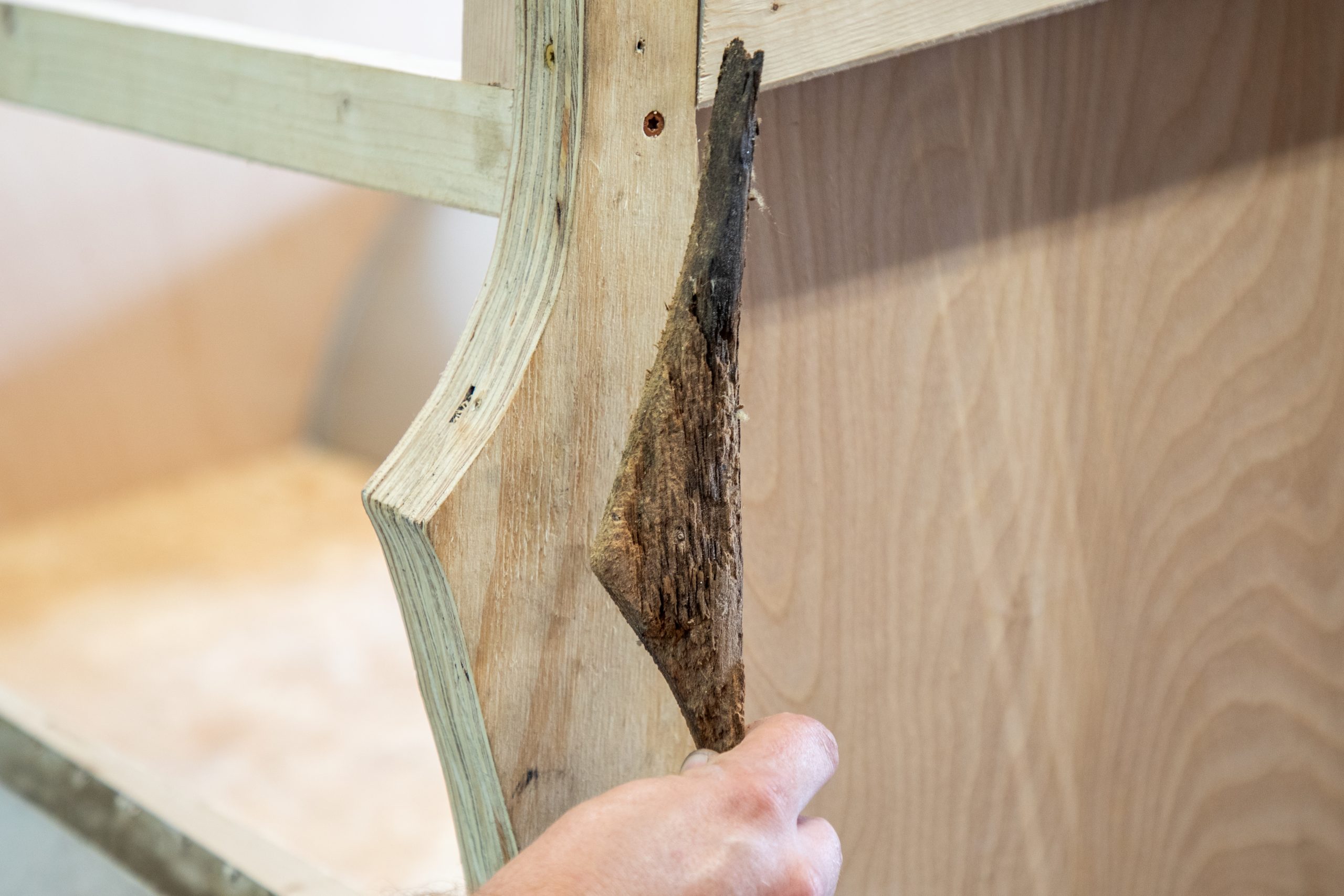 Michigan man's dilapidated 1956 Little Gem camper is Restoration ...