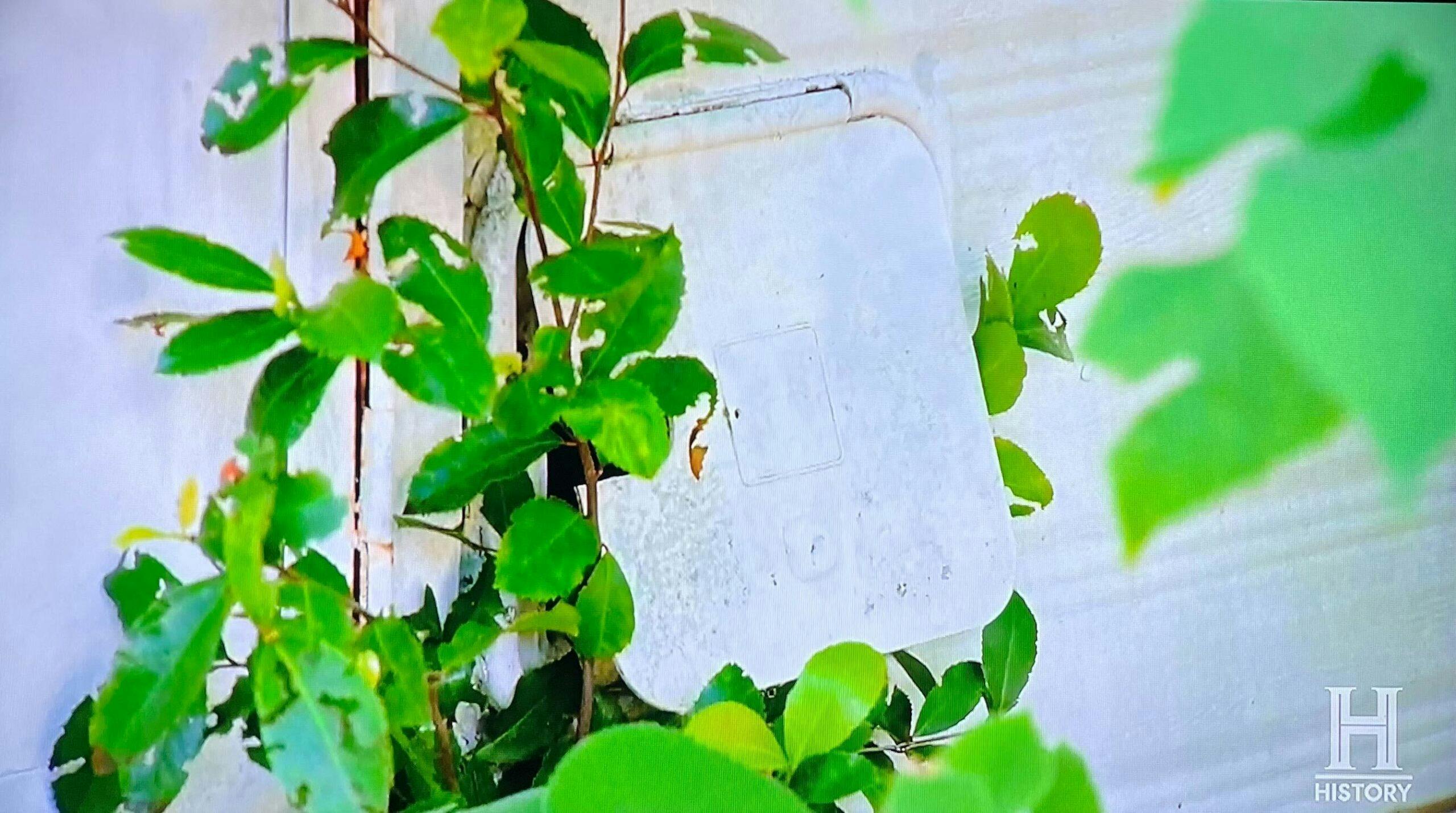 American Pickers finds rocker Jack White’s needle-in-a-haystack studio ...