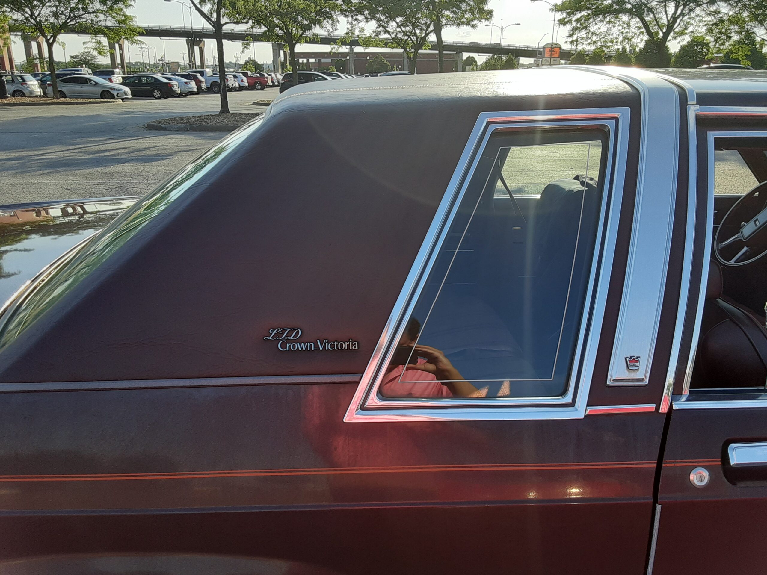 1981 Ford LTD Crown Victoria Coupe: Last of the Tudors - Hagerty Media