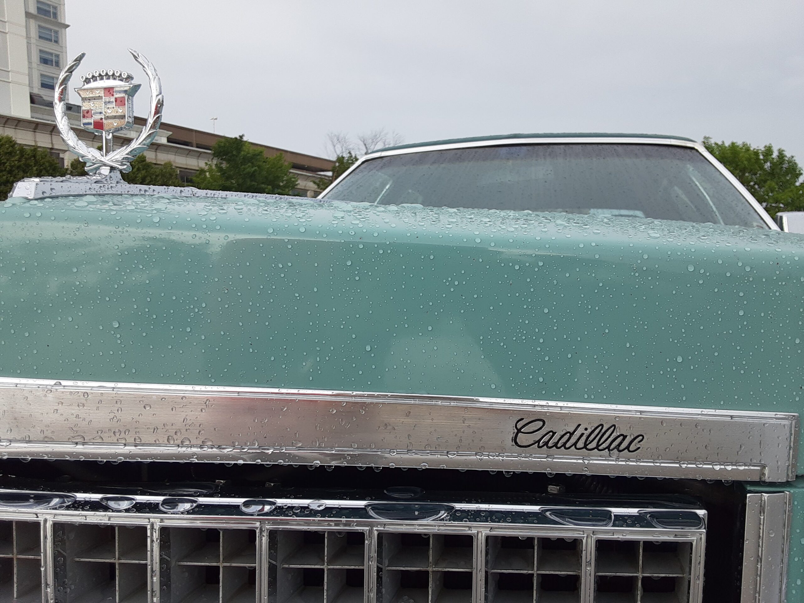 1976 Cadillac Fleetwood Brougham d'Elegance: The Pride of ’76 - Hagerty ...