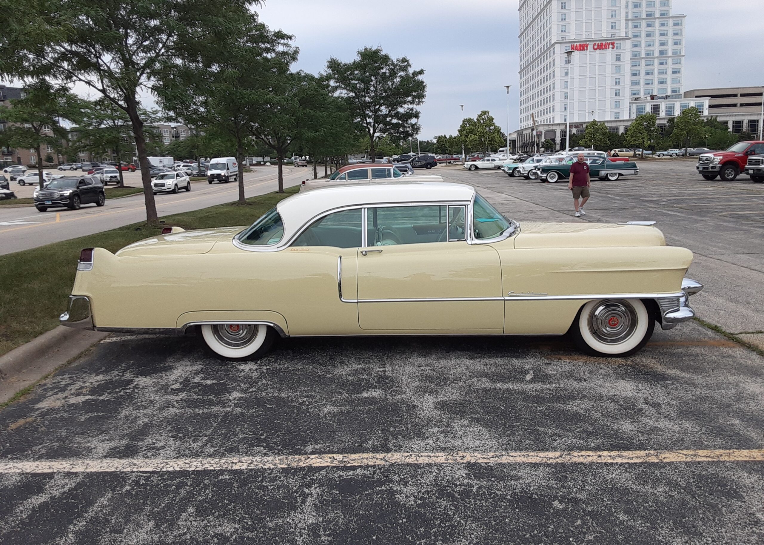 1955 Cadillac Coupe de Ville: Gold Goddess - Hagerty Media