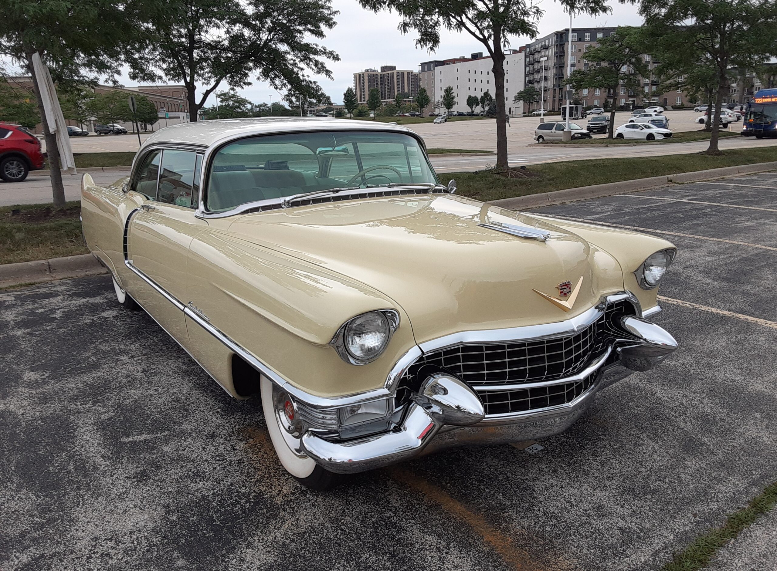 1955 Cadillac Coupe de Ville: Gold Goddess - Hagerty Media