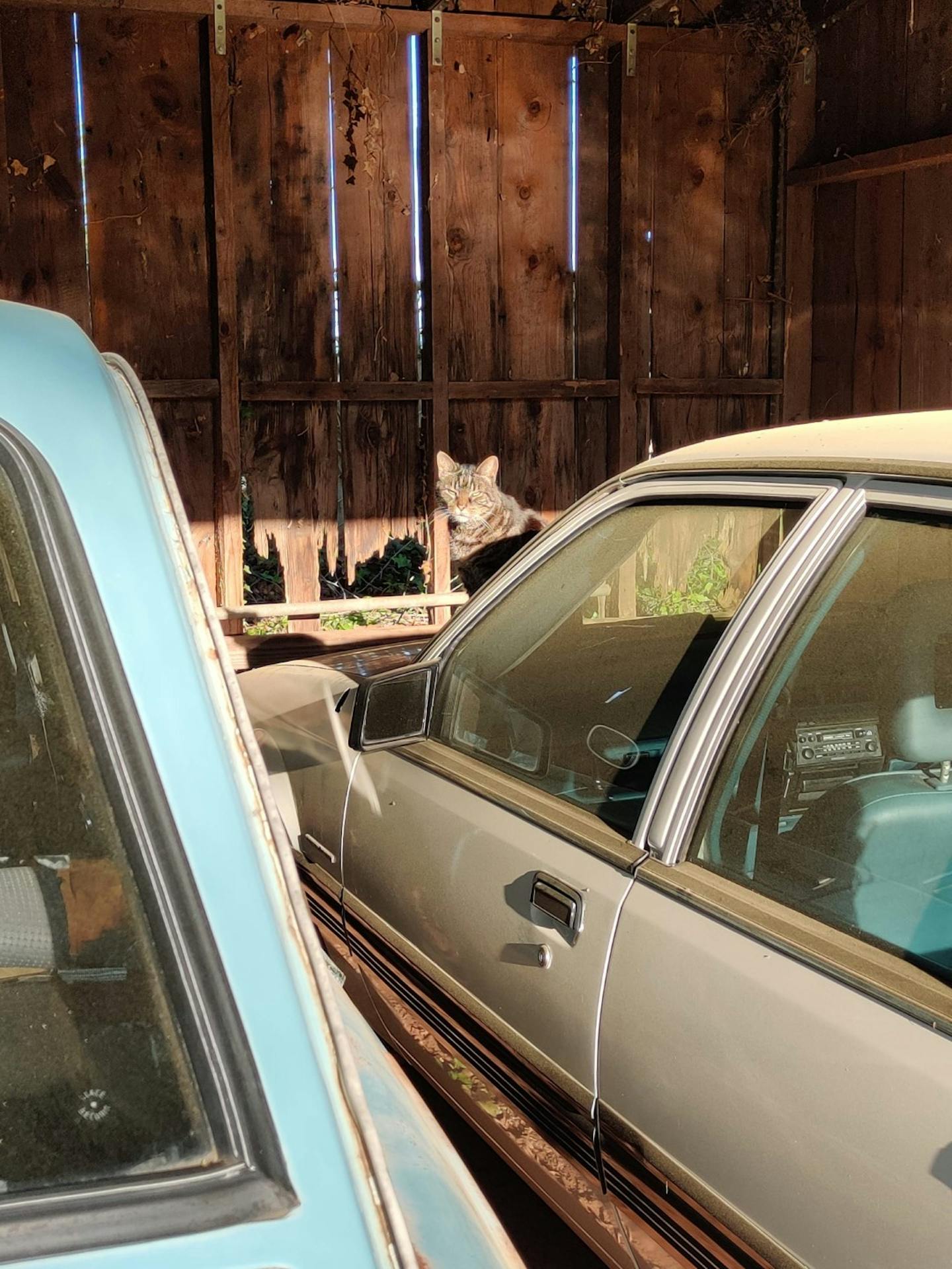 Against All Oddities: Mantras for a 33-hp commuter car - Hagerty Media