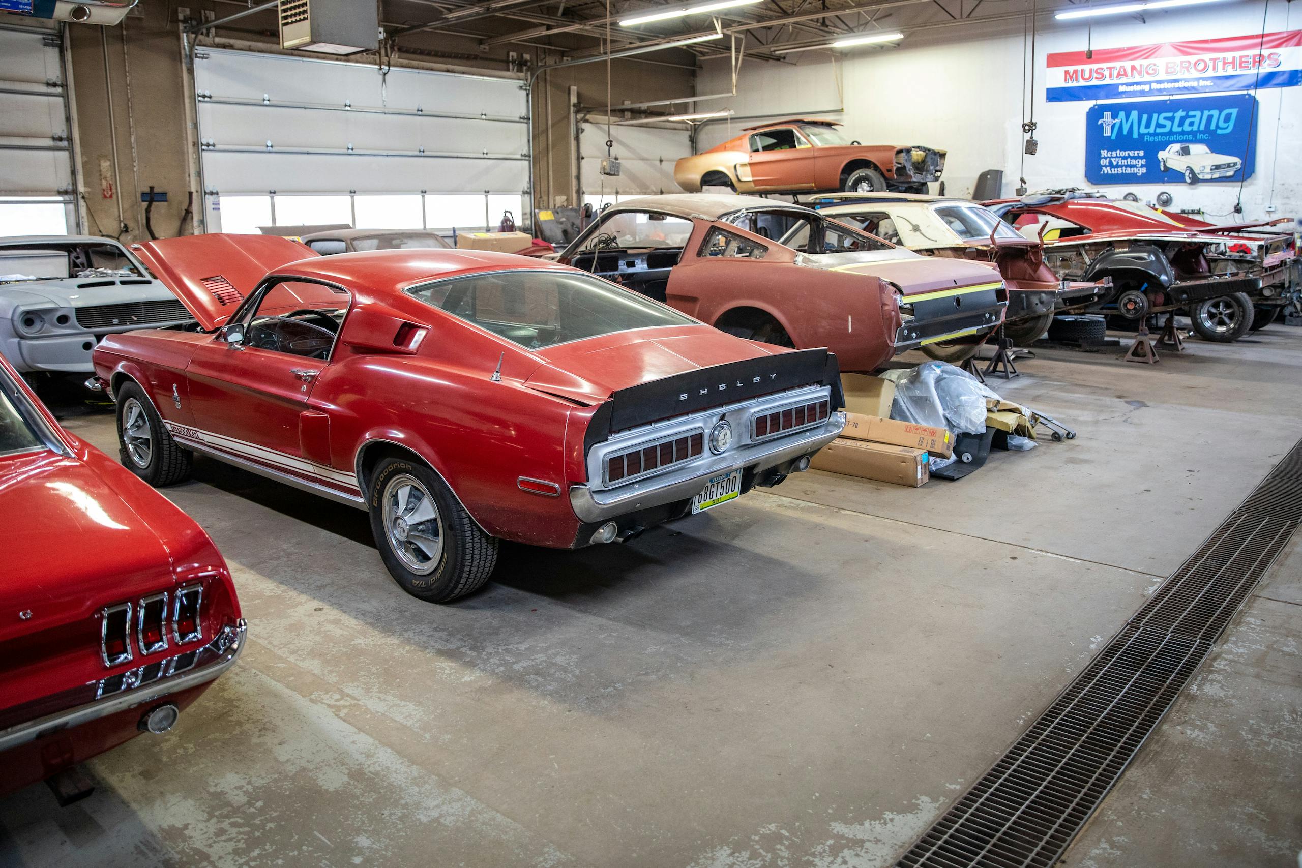 Twin Brothers, the World's Largest Mustang Shop, and ... TikTok ...