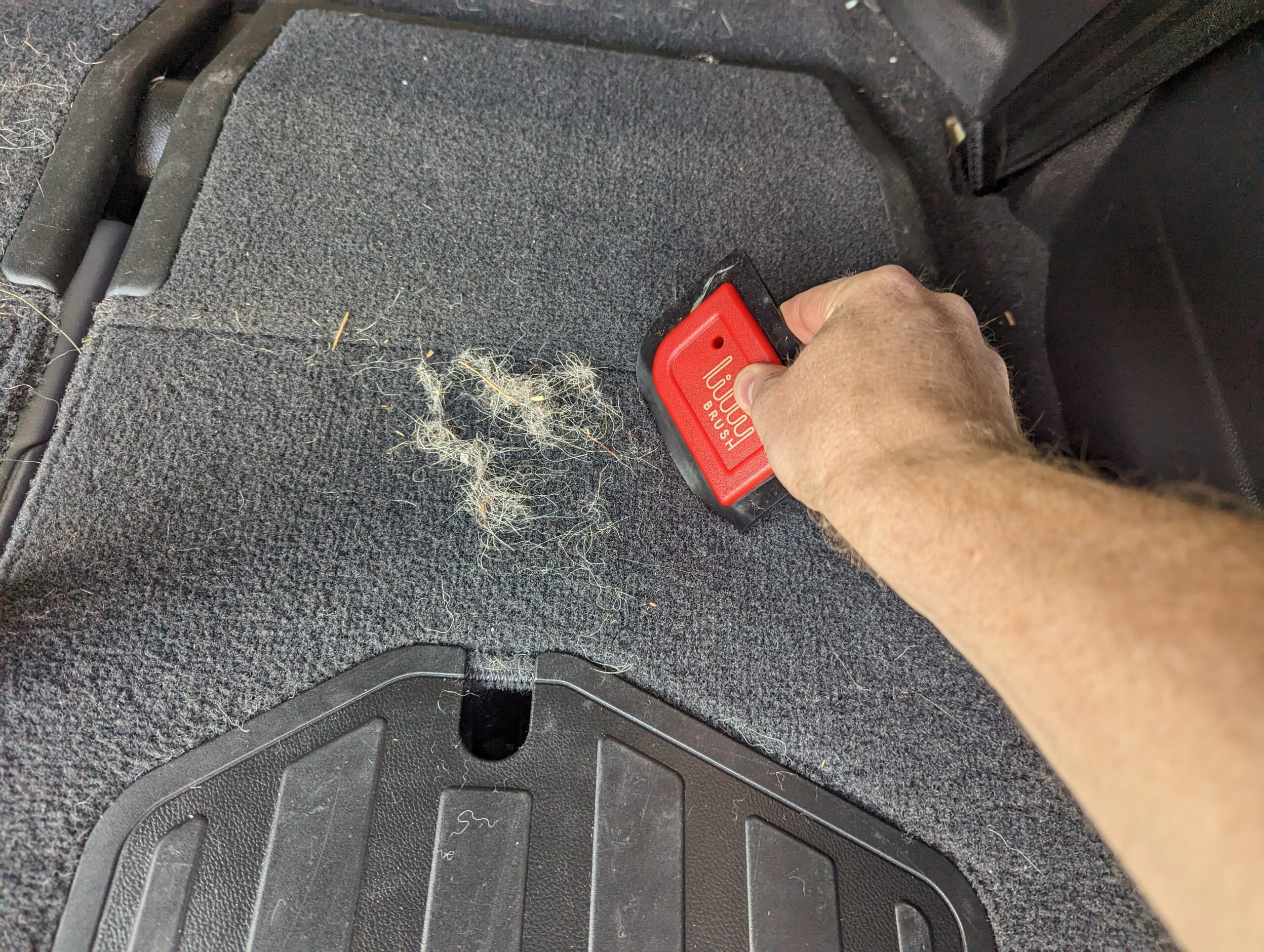 Sweating the Details: How to remove pet hair from your car - Hagerty Media