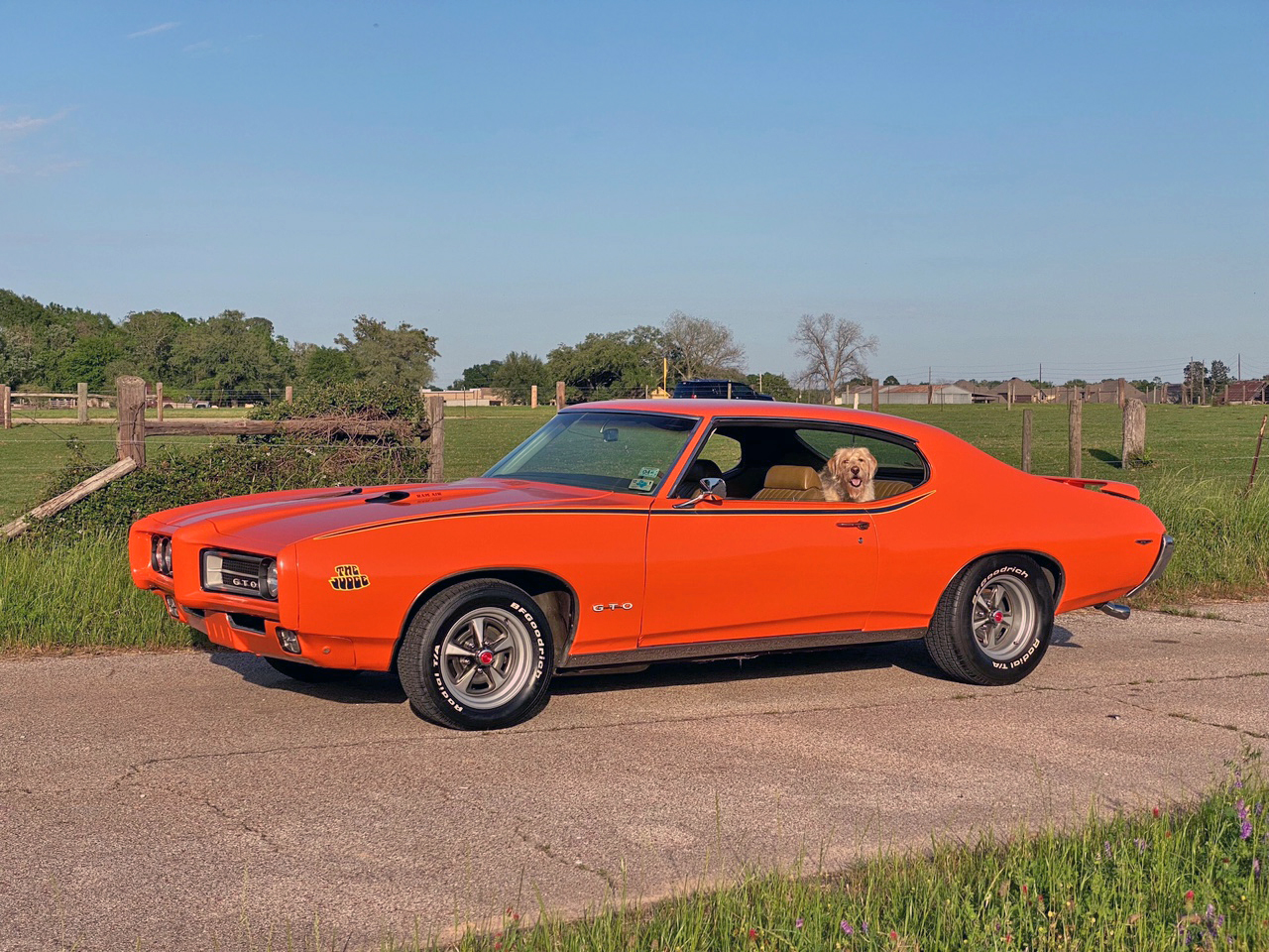 Piston Slap: Will wrapping a brown GTO turn it into a G.O.A.T ...