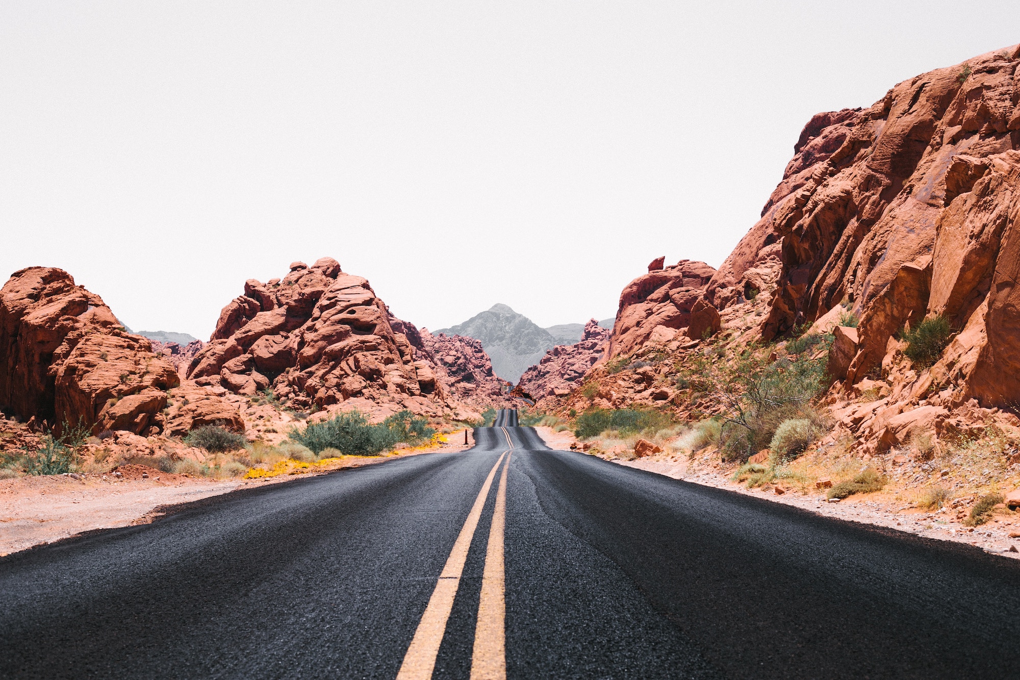 10 of the best books about road trips - Hagerty Media