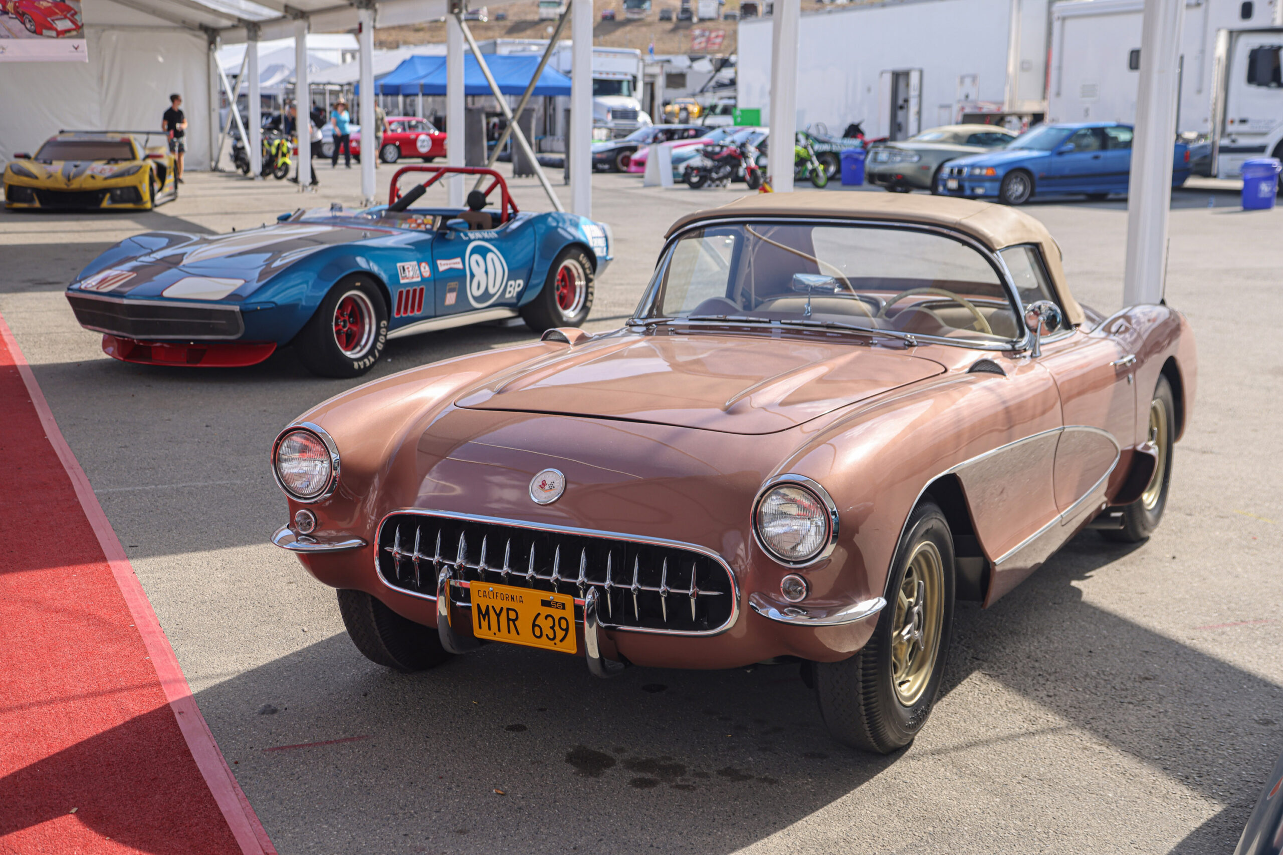 The Case for Credit: Jamie Kitman Explains the Benefits of Borrowing ...