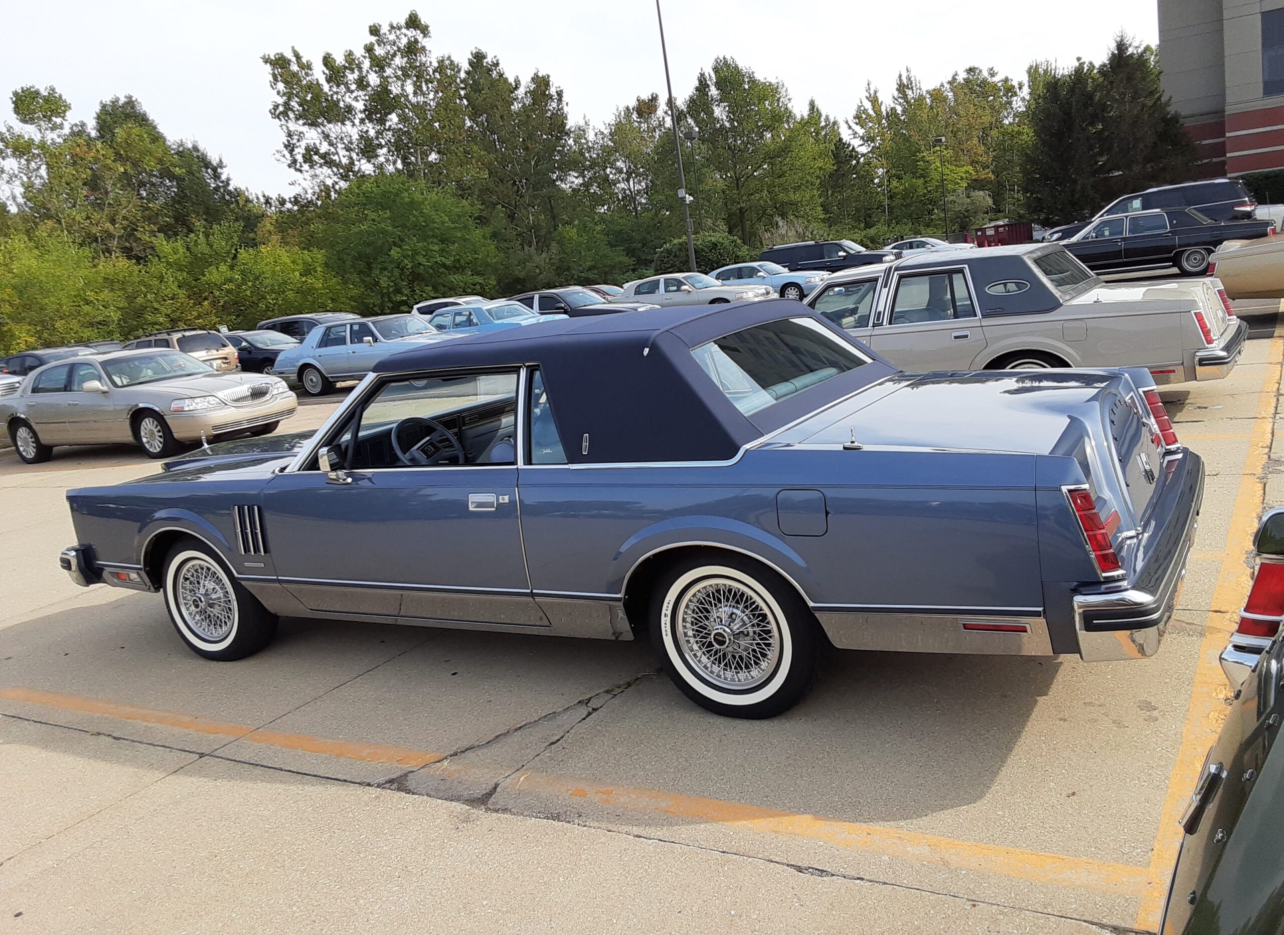 1983 Continental Mark VI Pucci Designer Edition: Blue Heaven - Hagerty ...