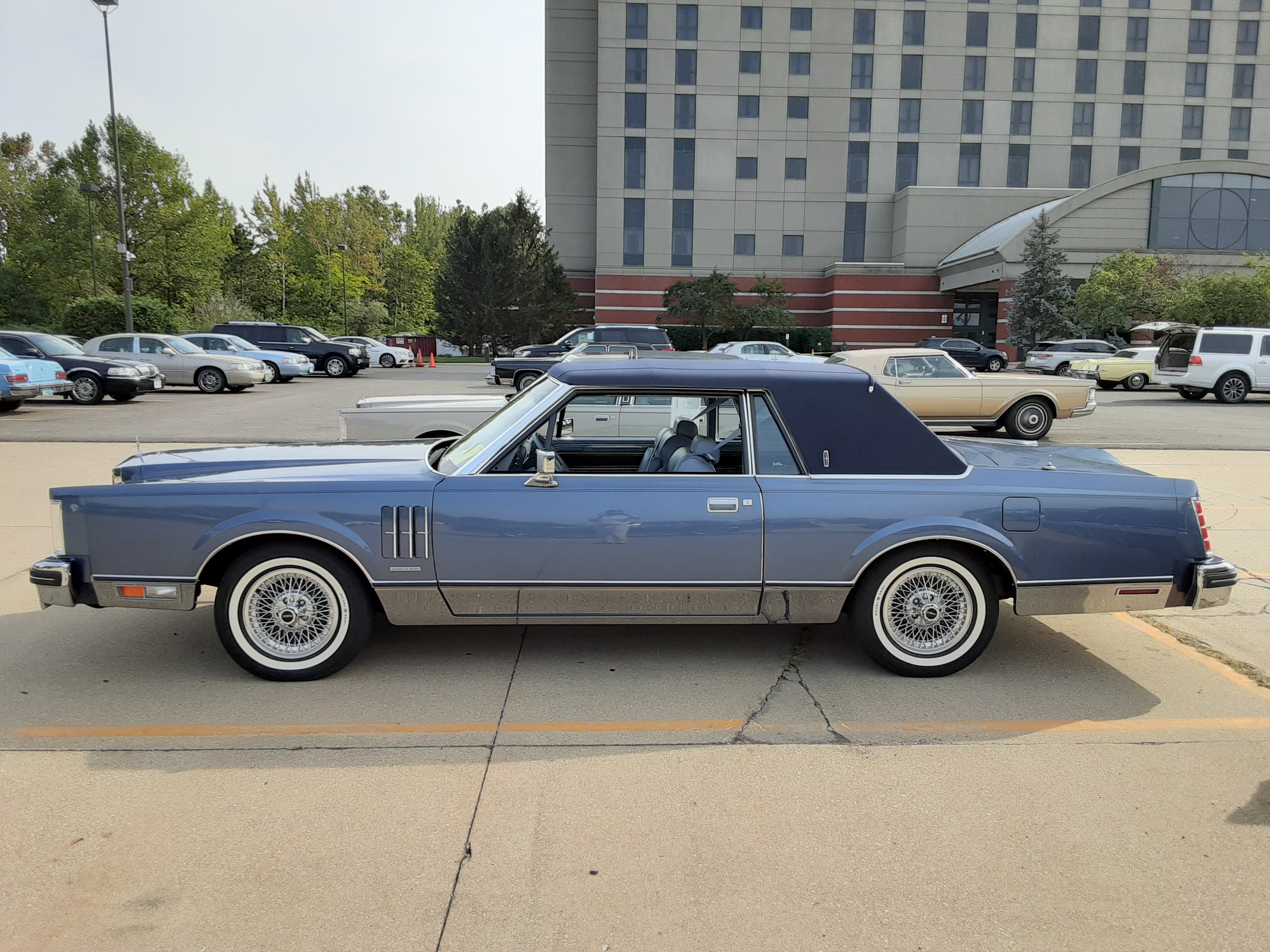 1983 Continental Mark VI Pucci Designer Edition: Blue Heaven - Hagerty ...