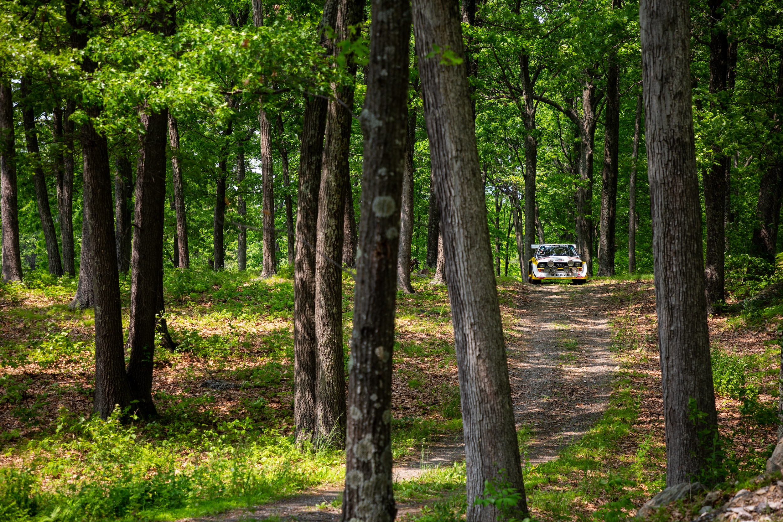 Driving the rally stars that define the sport's wildest era - Hagerty Media