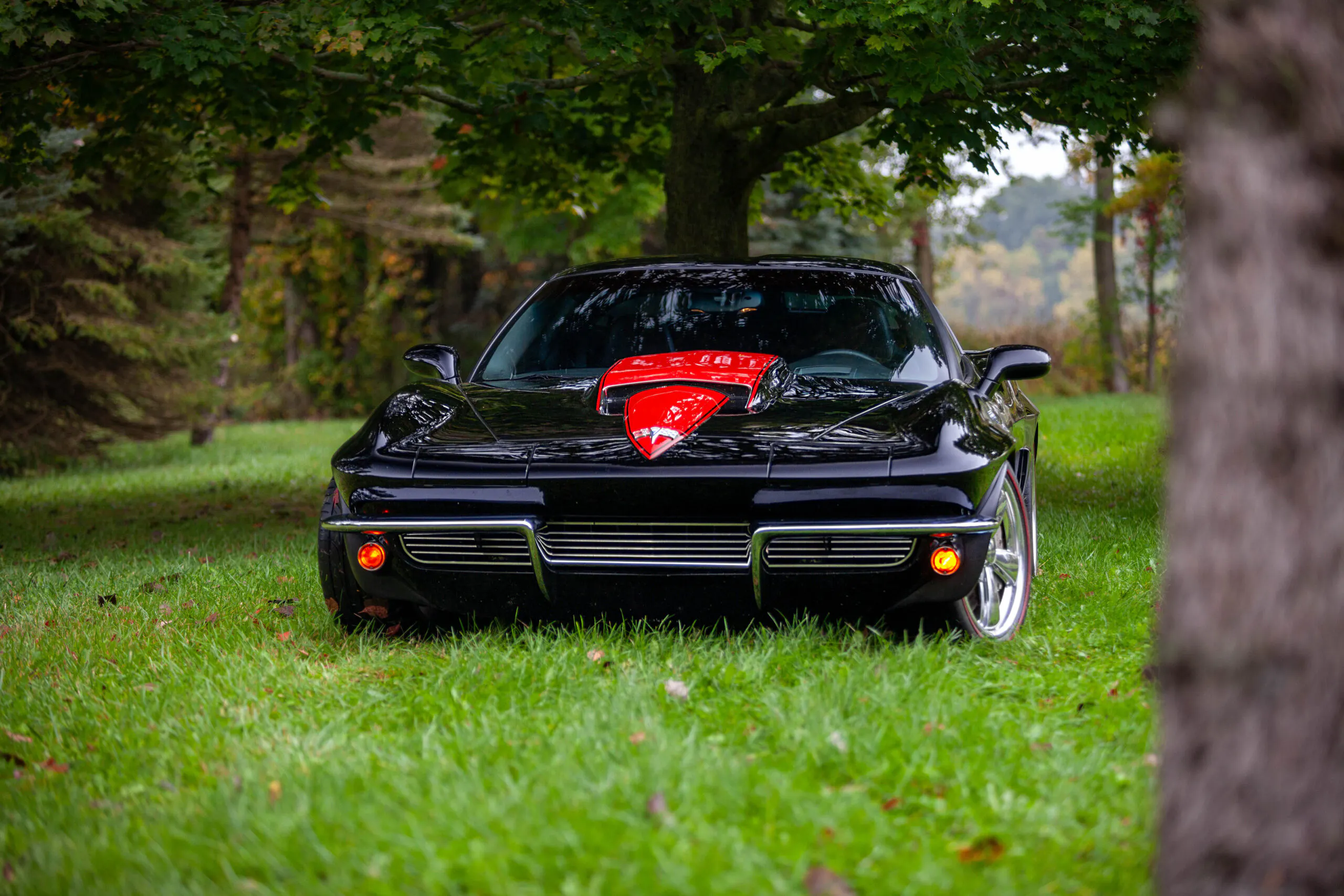 Mixed Metaphor: Russ Weid’s Corvette blends the breed’s best attributes ...