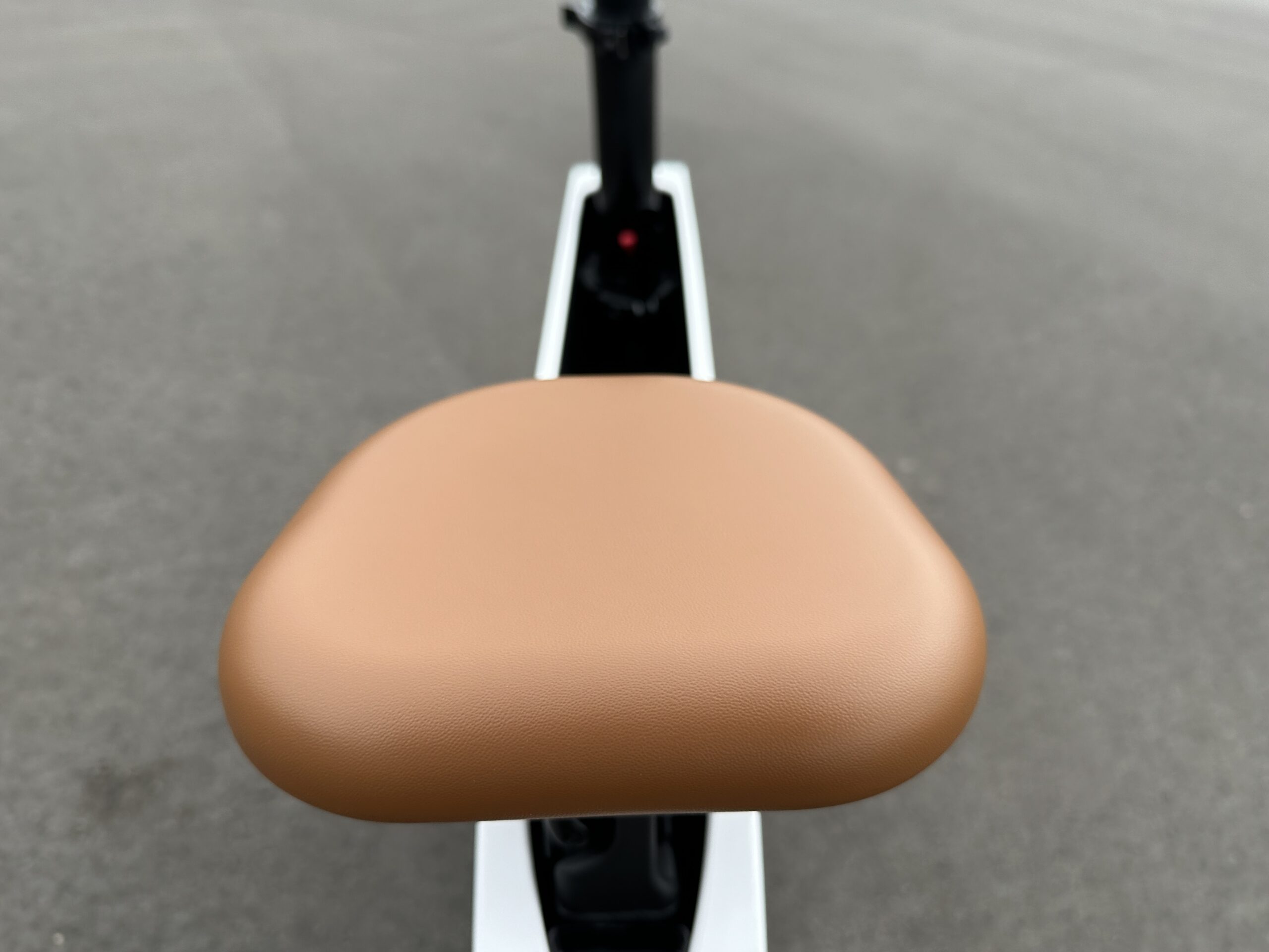 Ridden: Honda's Motocompacto delivers function and fun - Hagerty Media
