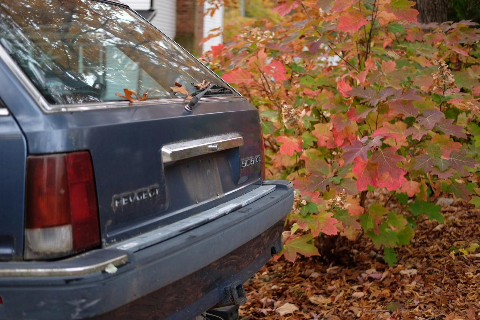 Against All Oddities: Renault Rescue! - Hagerty Media