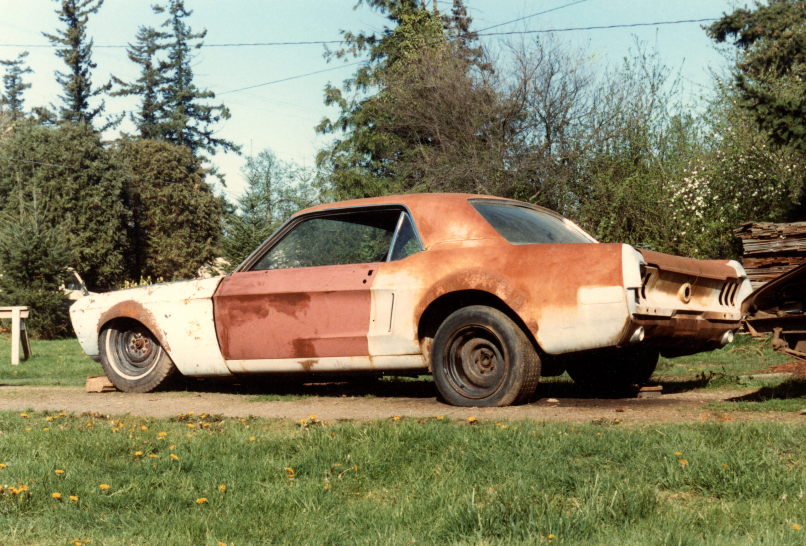 Ford Fanatic Pays Homage to Shelby Mustang Race Car He Loved and Lost ...