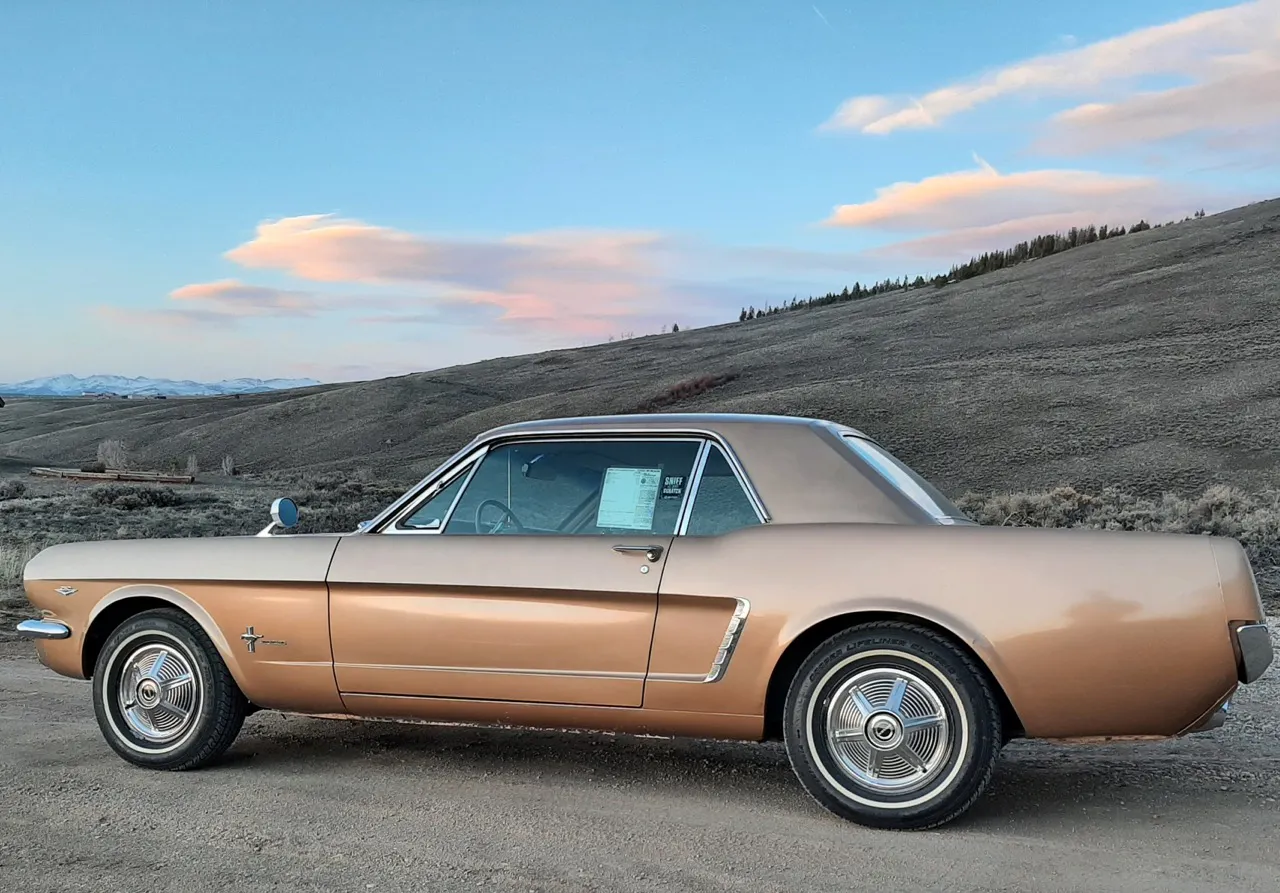 Mustang Member Story: Gene’s Prairie Bronze Survivor - Hagerty Media