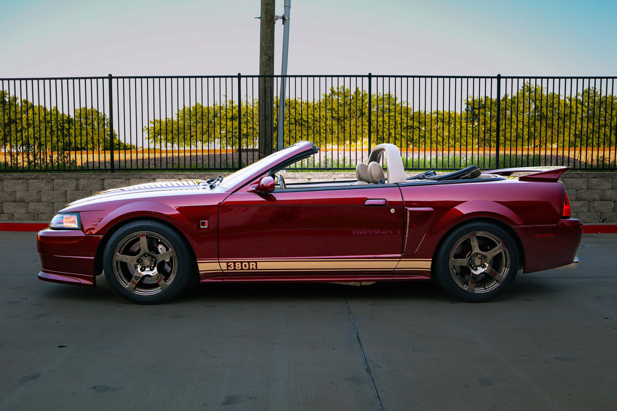 Spendy When New, This Roush 380R Is a Now a Performance Bargain ...