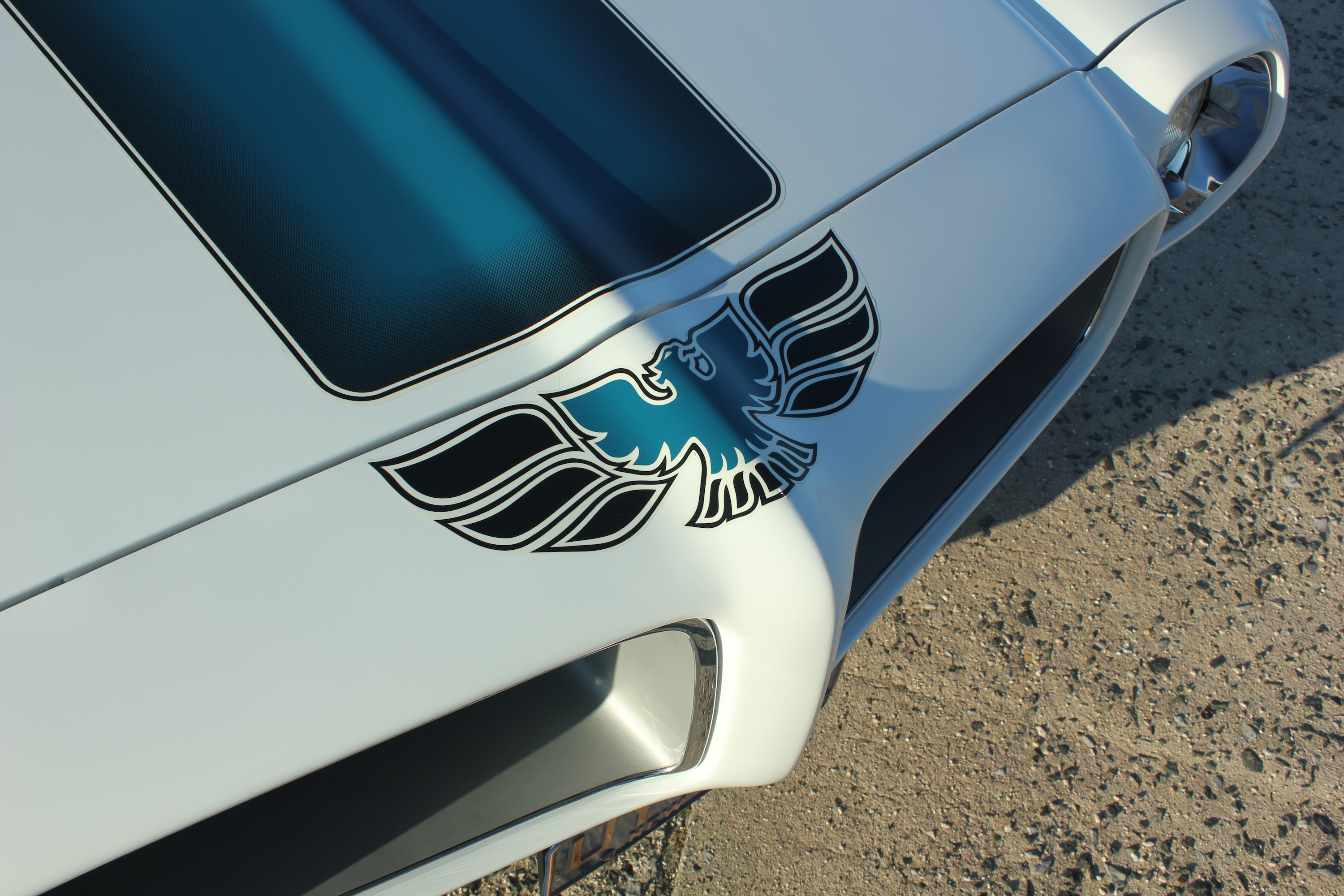 Sweet ’70 Trans Am Has Laid Rubber with the Same Owner for 44 Years ...