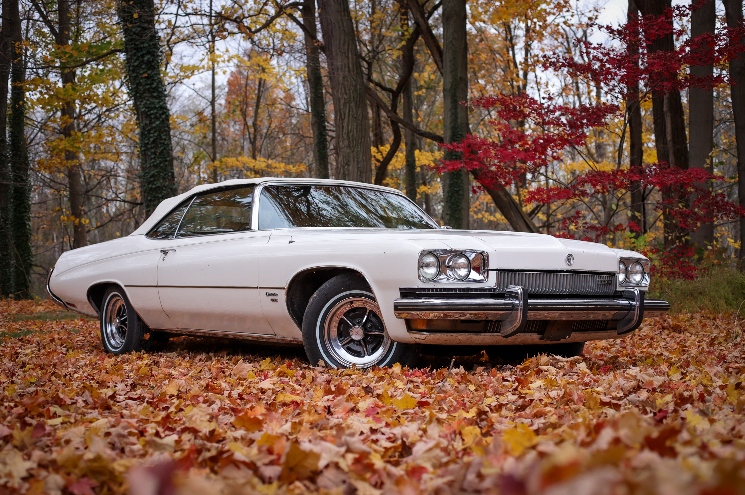 Beloved Buick: The Centurion Rides Again - Hagerty Media