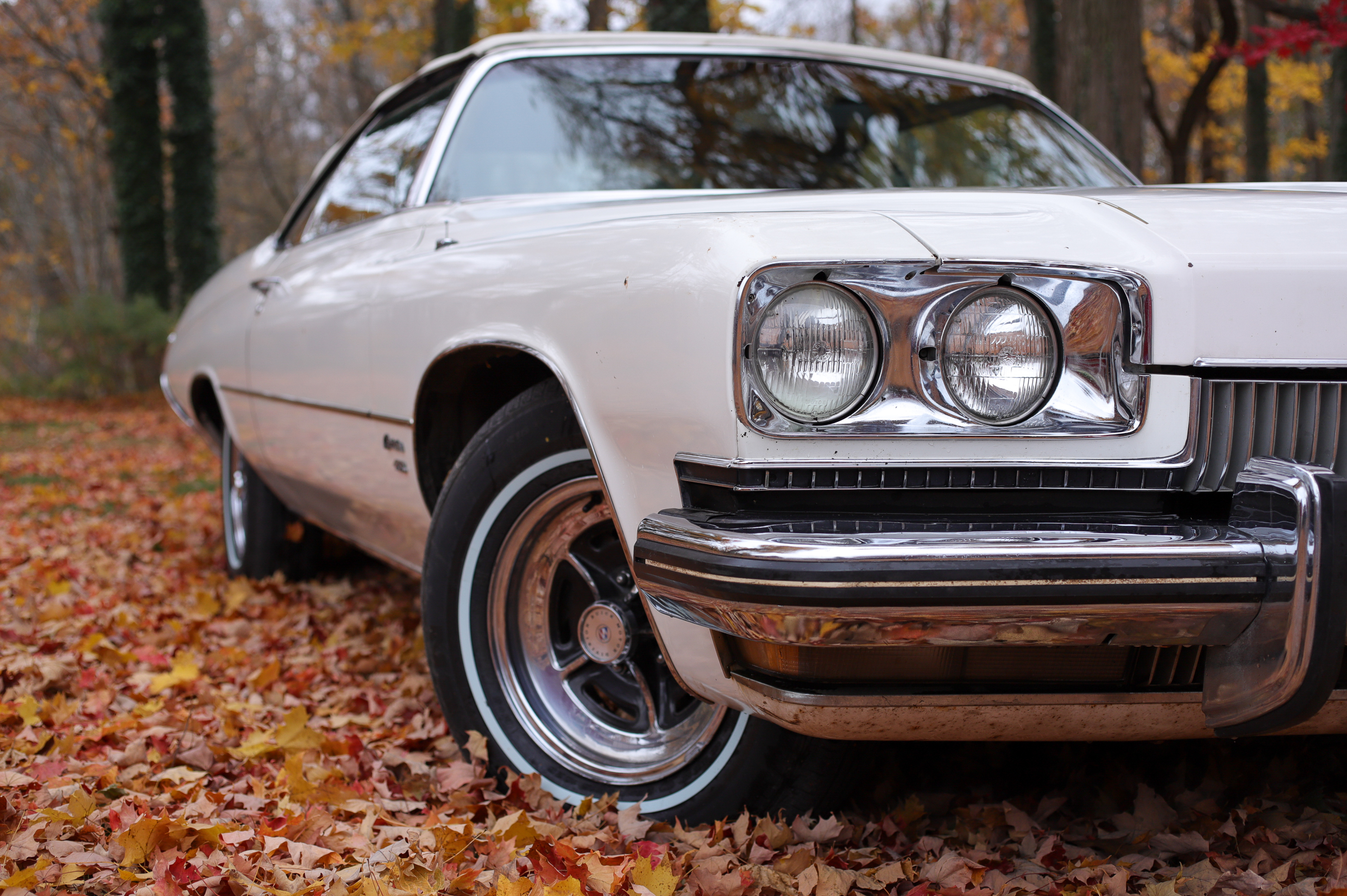 Beloved Buick: The Centurion Rides Again - Hagerty Media