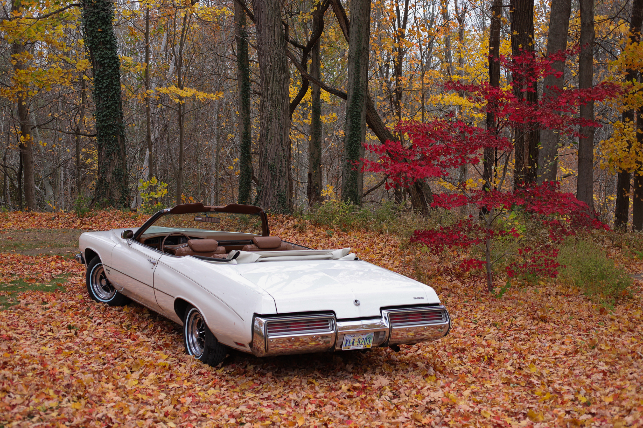 Beloved Buick: The Centurion Rides Again - Hagerty Media