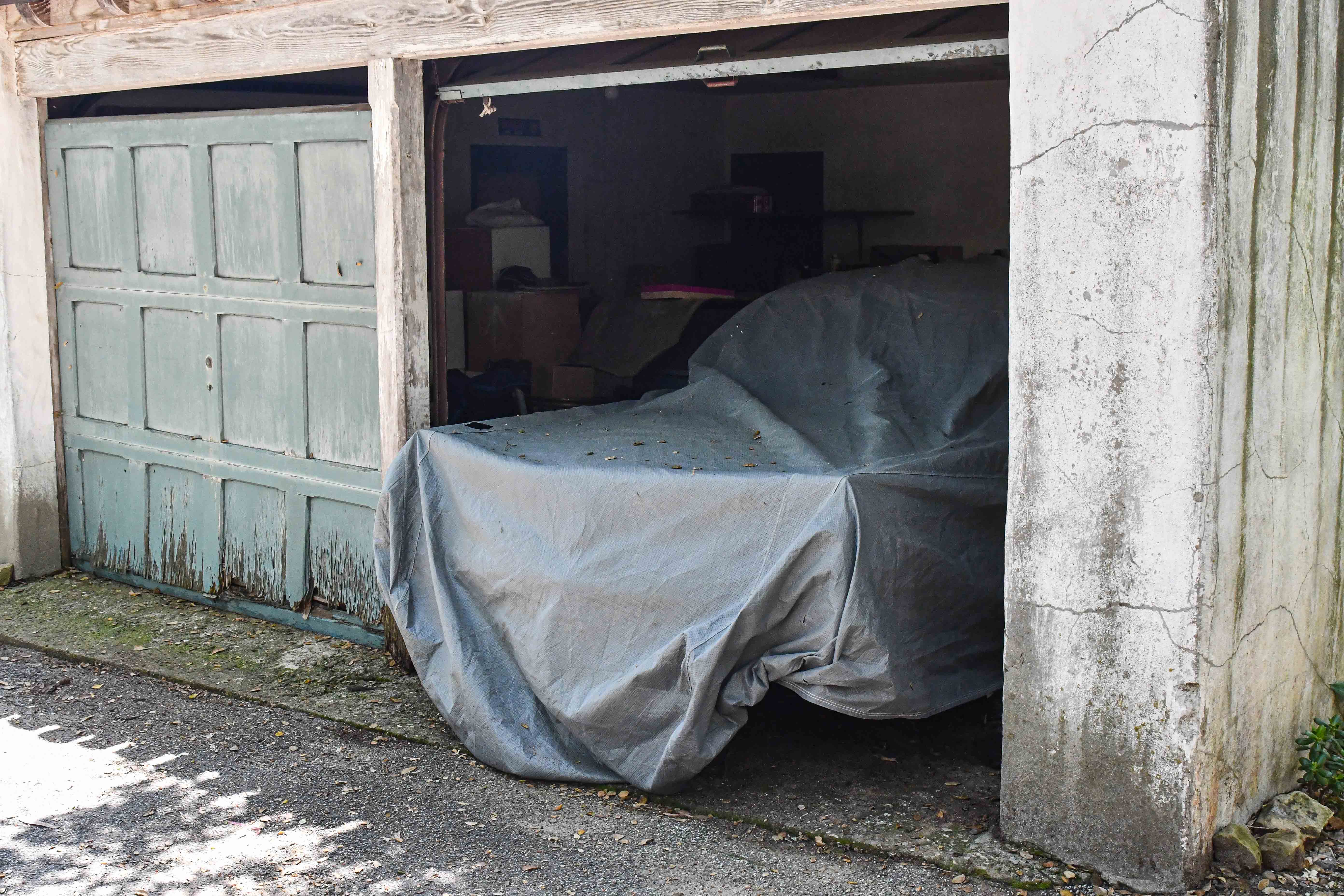 Taking in a Stray: How the Gradias Family Rescued a Buick Wildcat ...