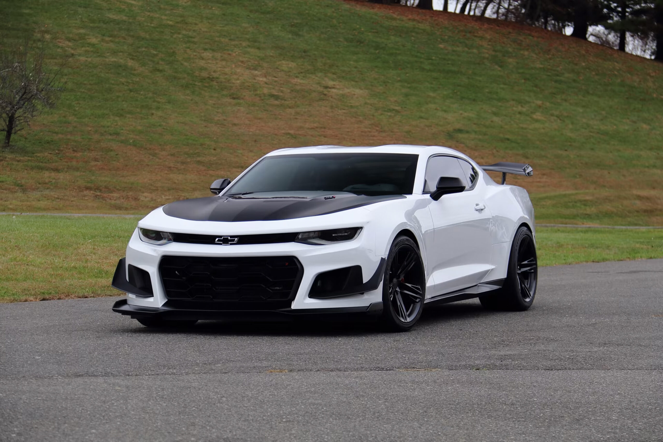 7 Camaros to Watch at Mecum's 2025 Kissimmee Sale - Hagerty Media