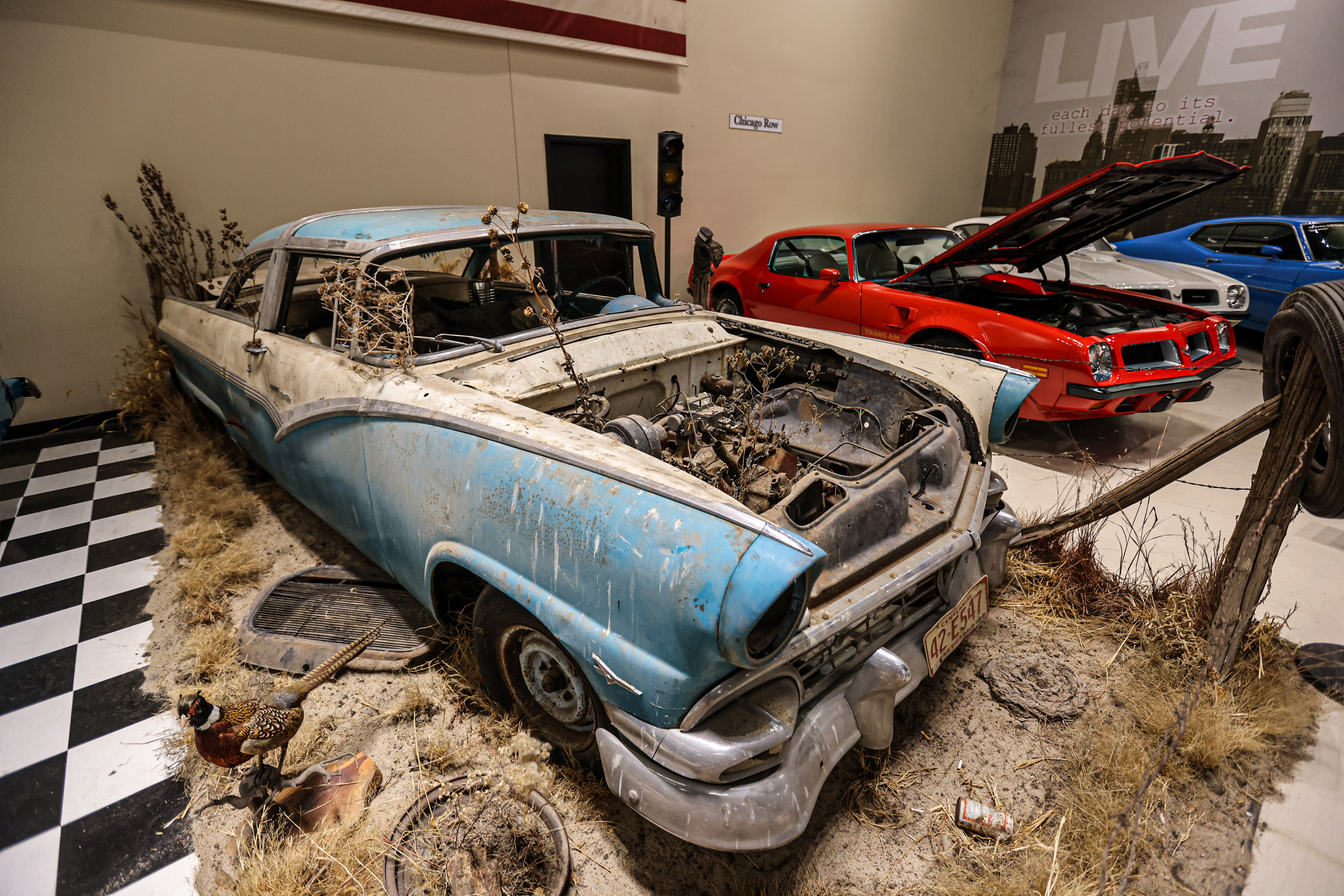 6 of Our Favorite Cars from the American Automobile Experience ...