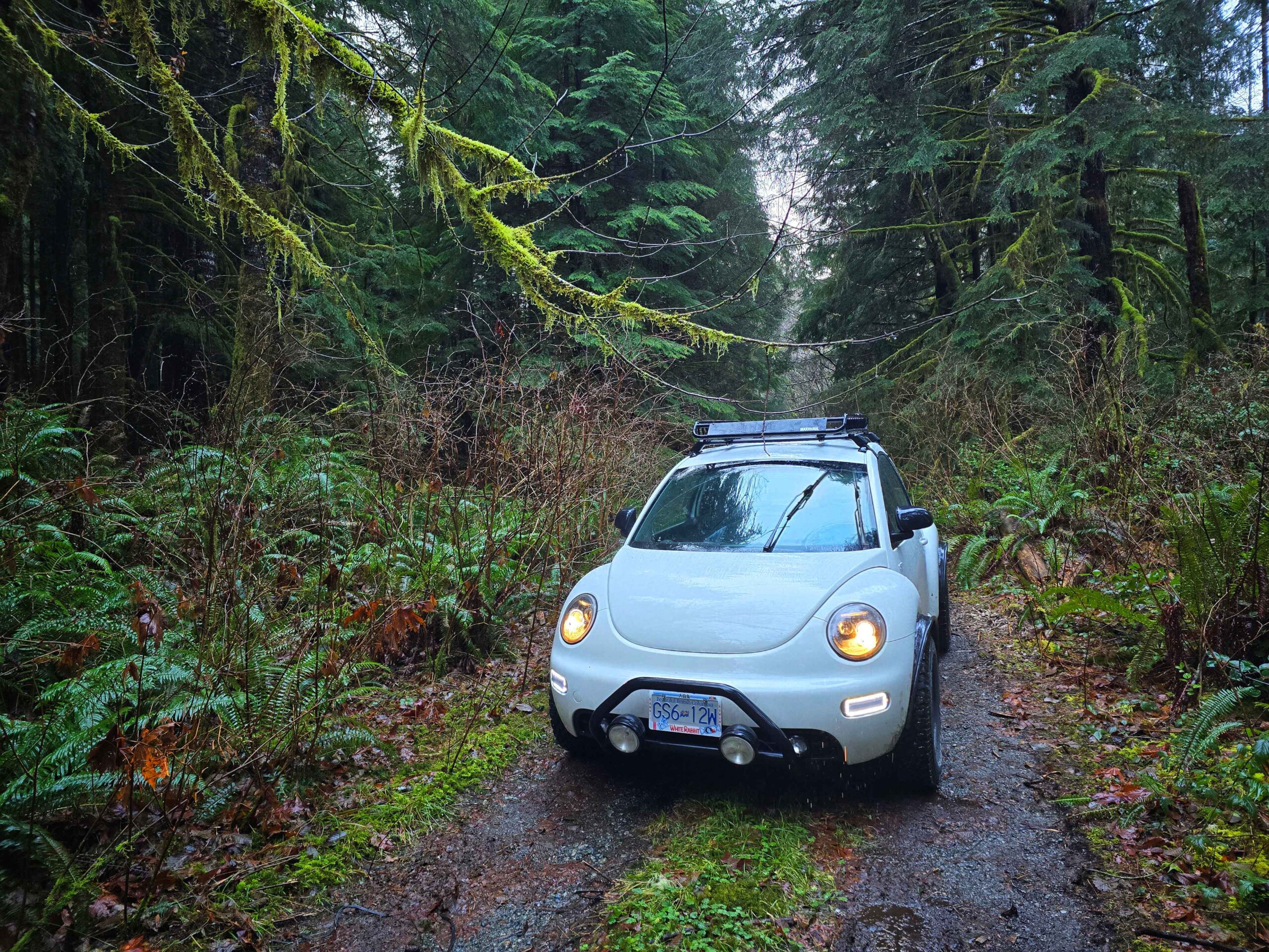 Volkswagen’s New Beetle Is Finally Growing Its Own Following - Hagerty ...