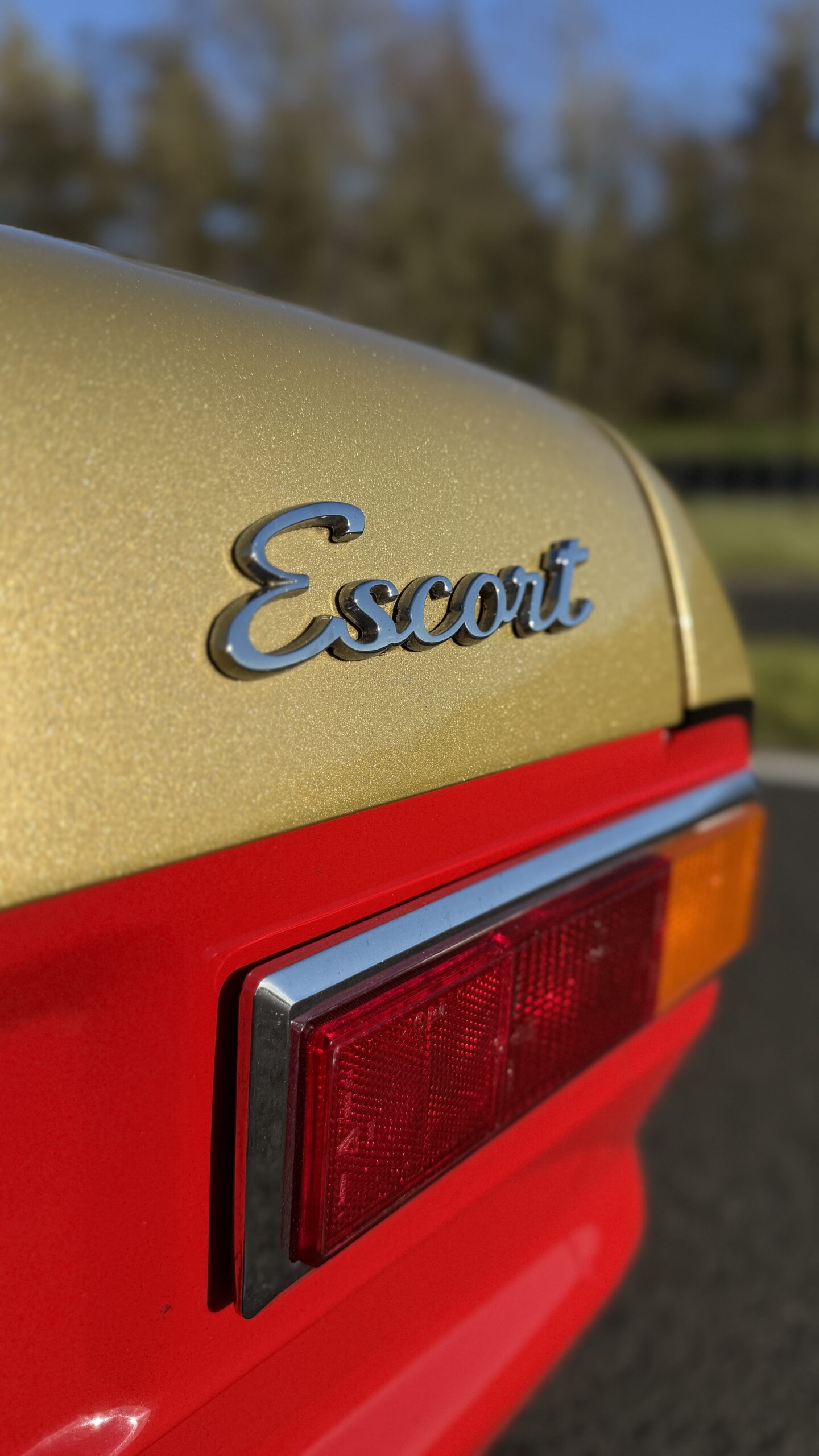 The Driver’s Seat: Henry Catchpole on the Alan Mann Racing Ford Escort ...