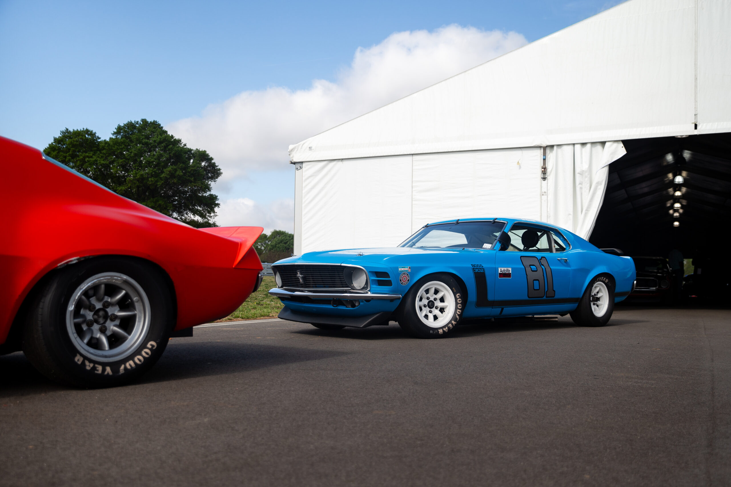 Gallery: Trans-Am's Golden Era Shines At New Track - Hagerty Media