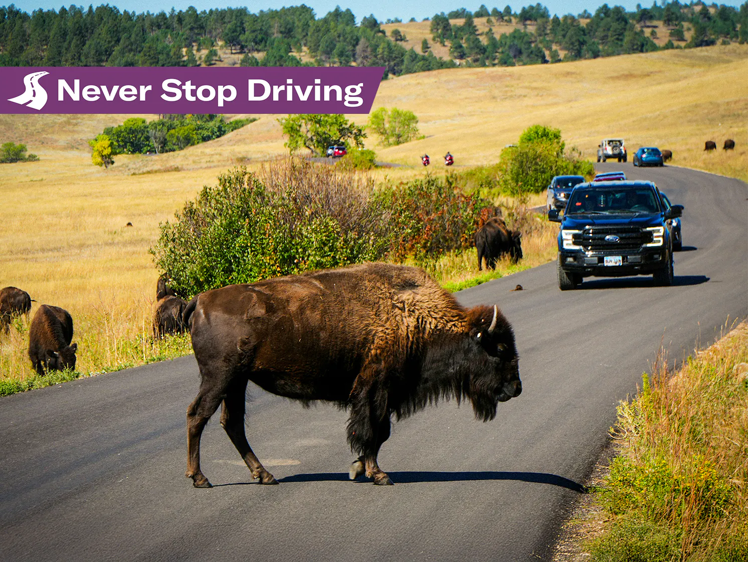 Never Stop Driving #147: Road Trip! - Hagerty Media
