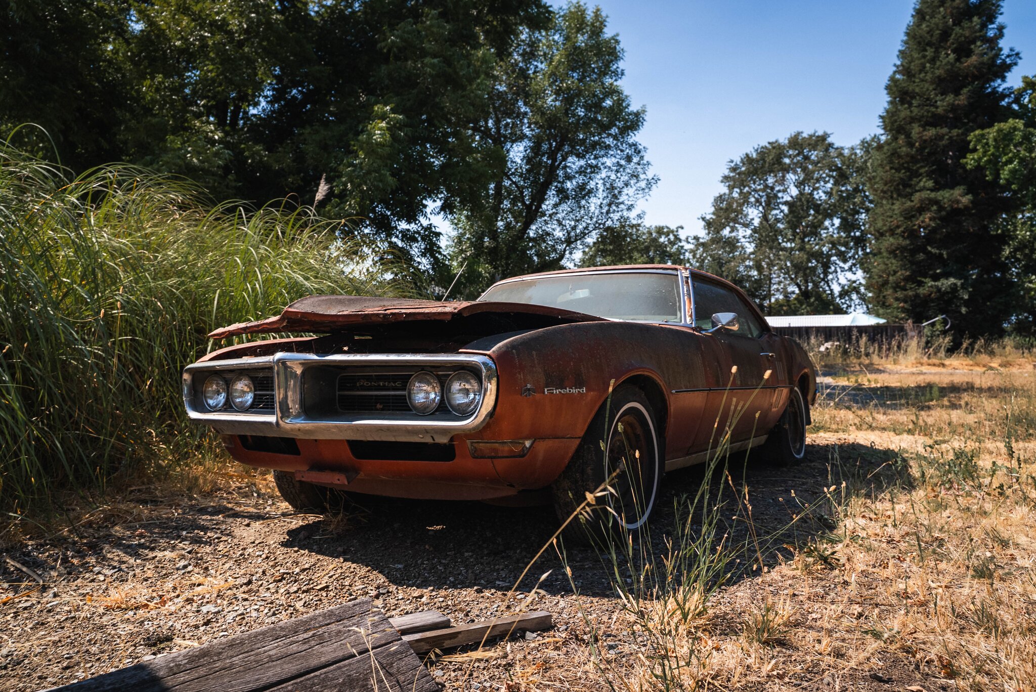 After 40 Years in a Soggy Field, Can This 1968 Pontiac Firebird Be ...