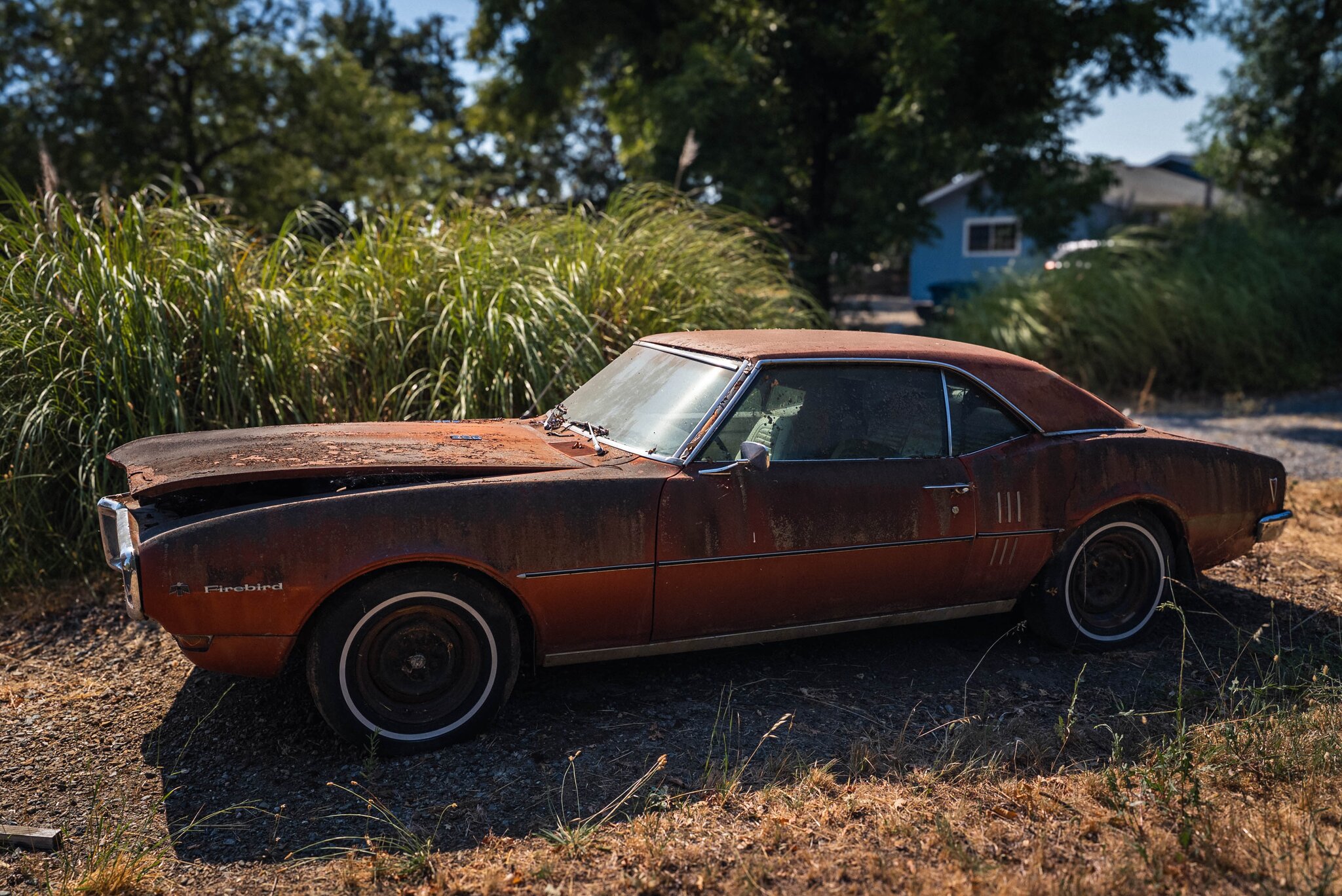 After 40 Years in a Soggy Field, Can This 1968 Pontiac Firebird Be ...