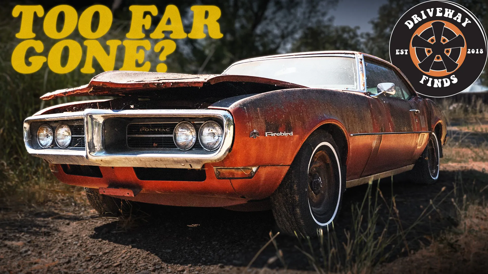 After 40 Years in a Soggy Field, Can This 1968 Pontiac Firebird Be ...
